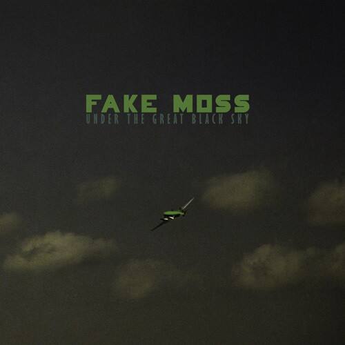Fake Moss Under the Great Black Sky COMPACT DISCS [CD] - Best Buy