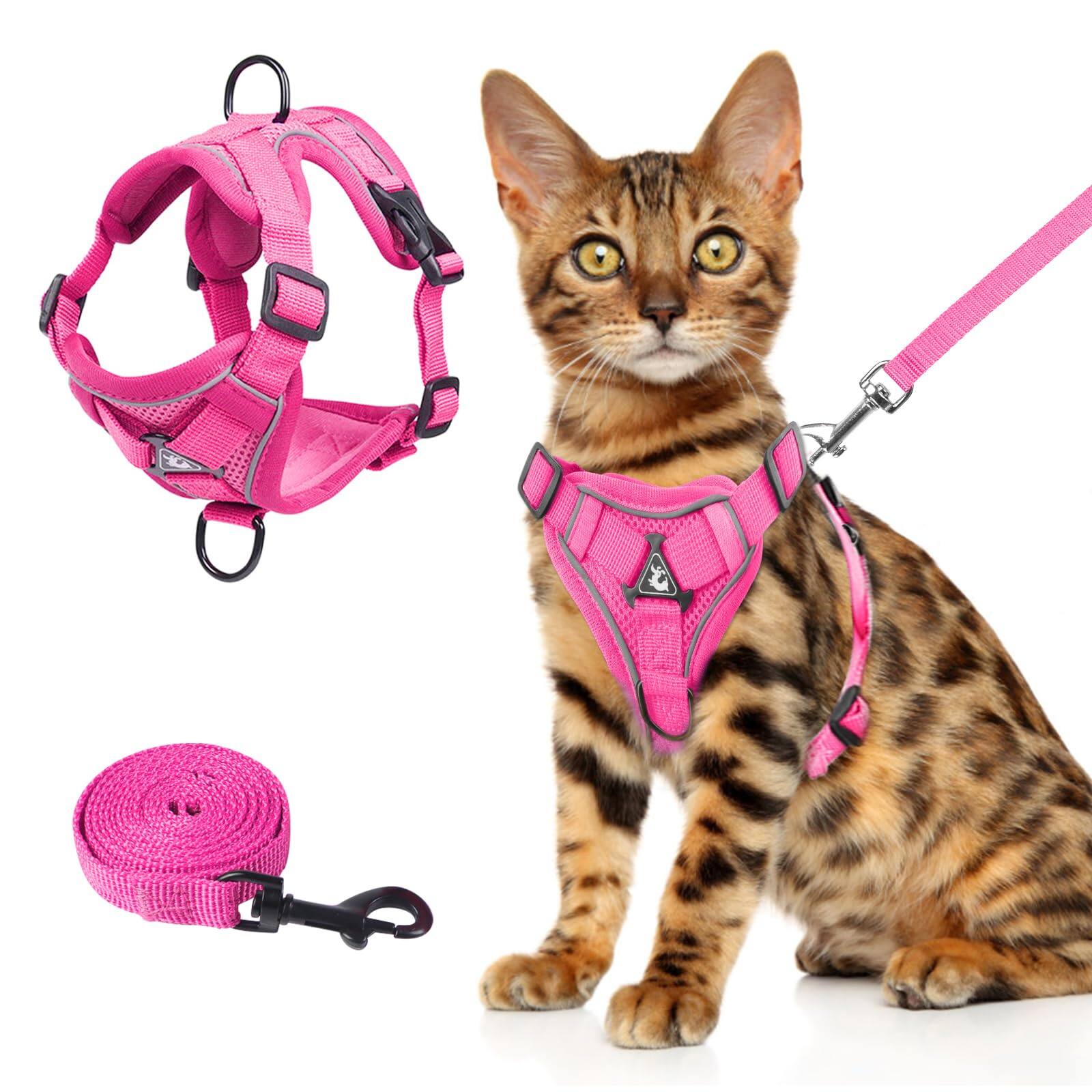 Paradigms Interiors Summer Cat Chest Harness And Leash Anti escape Soft ...