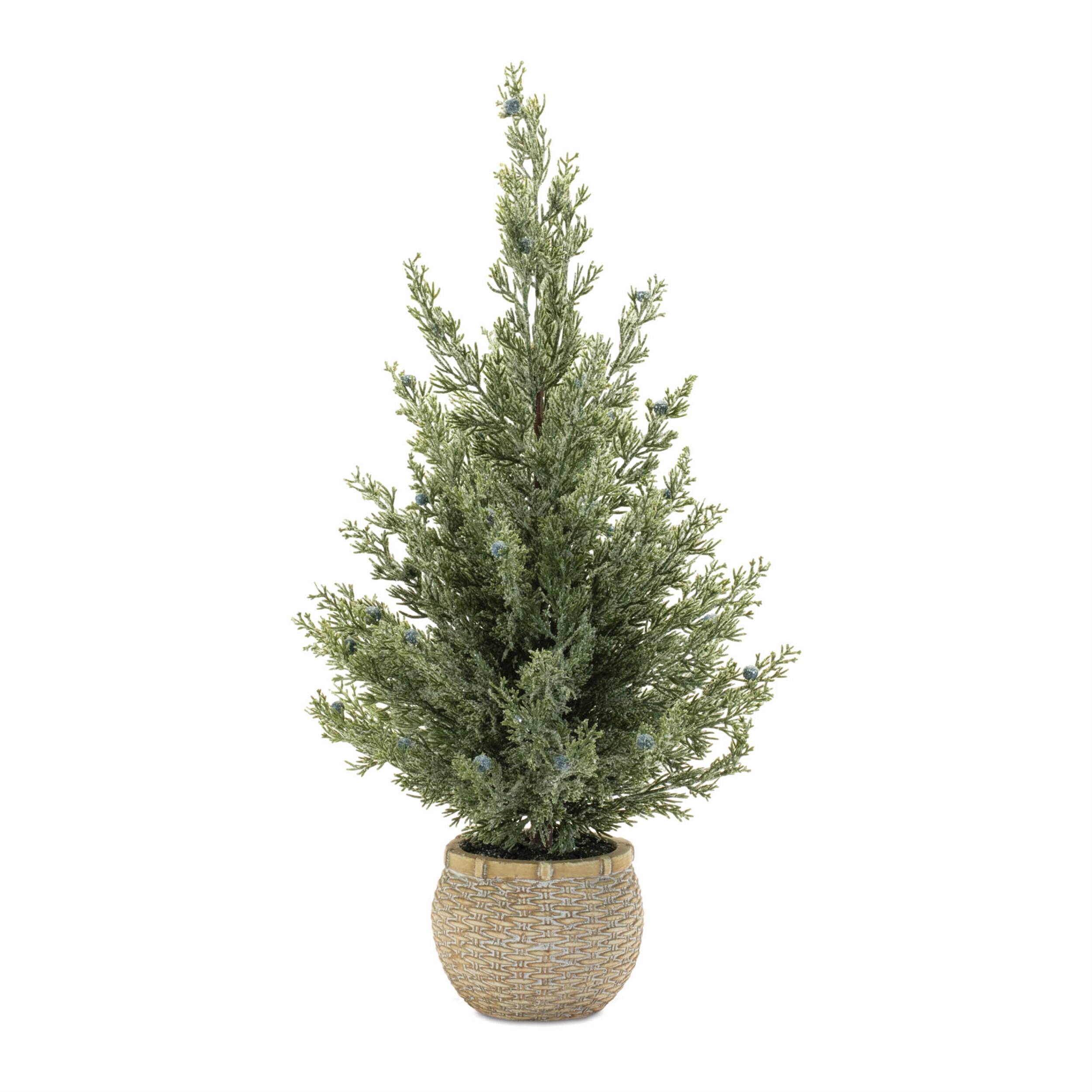 BreeBe Potted Mini Pine Tree (Set of 2) Green 95024DS - Best Buy