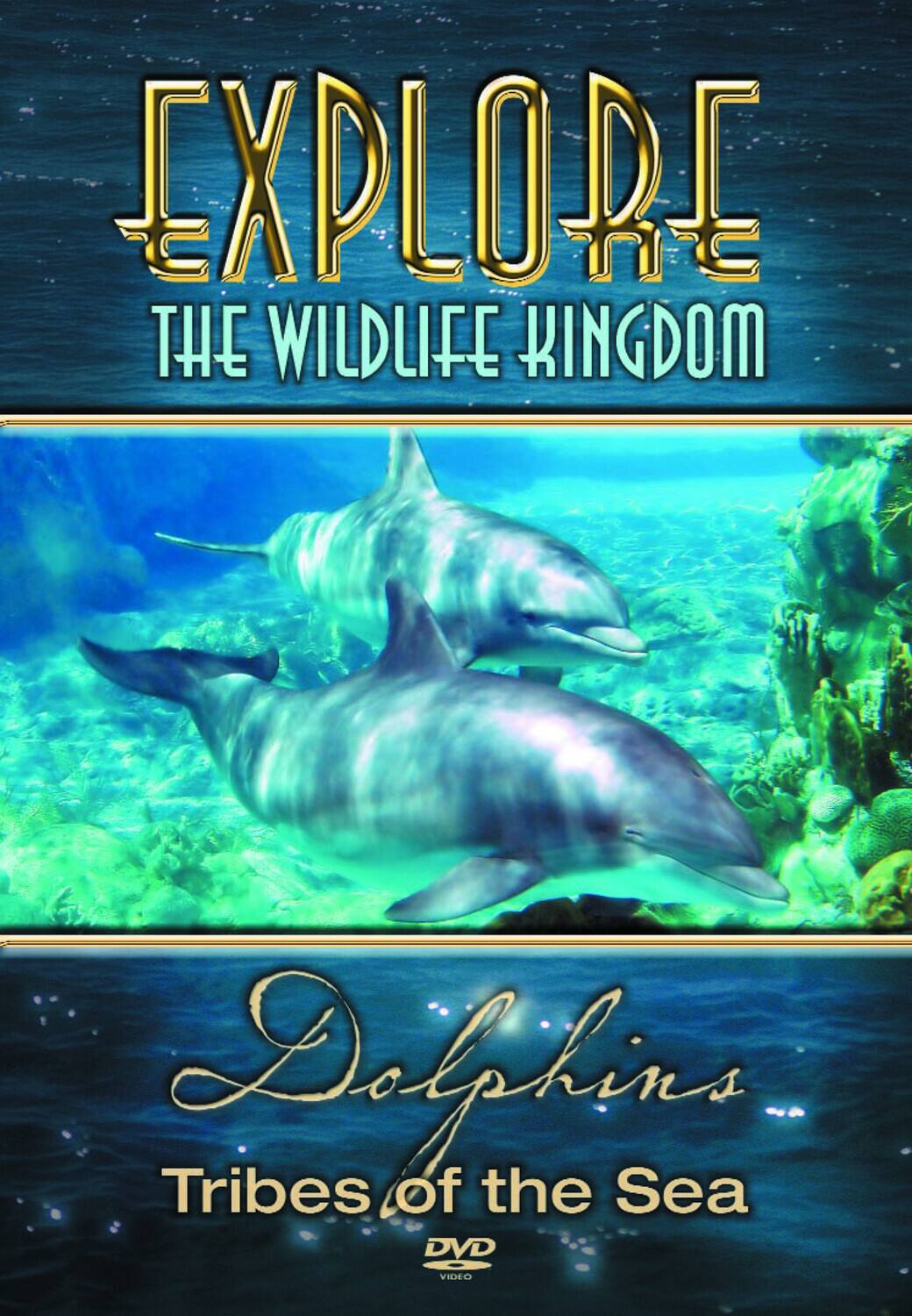 Explore the Wildlife Kingdom: Dolphins Tribes of the Sea DVD - Best Buy
