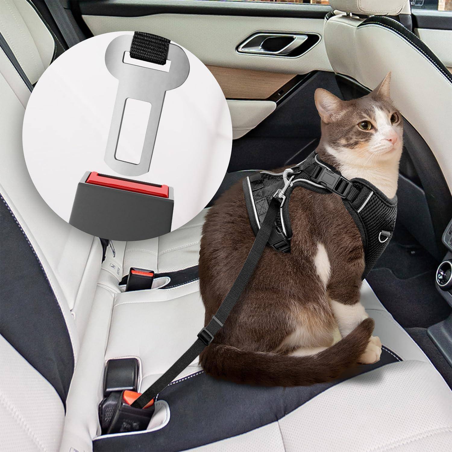 Paradigms Interiors Cat Harness And Leash For Walking Adjusted In Four ...