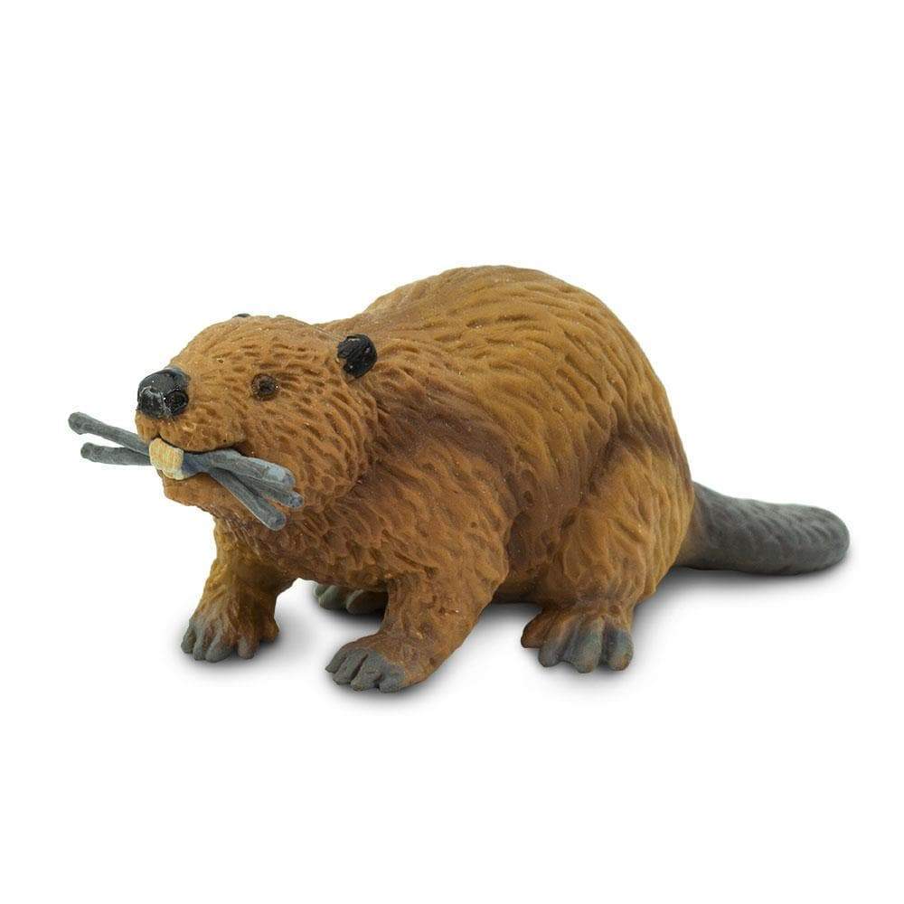 Safari Ltd. Beaver Toy Figurine - Best Buy