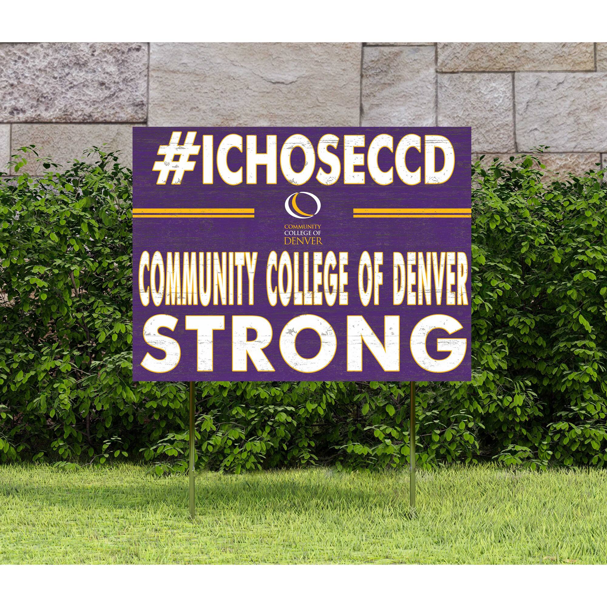 Jardine CCD CityHawks 18'' x 24'' I Chose Lawn Sign Purple 5110404 ...