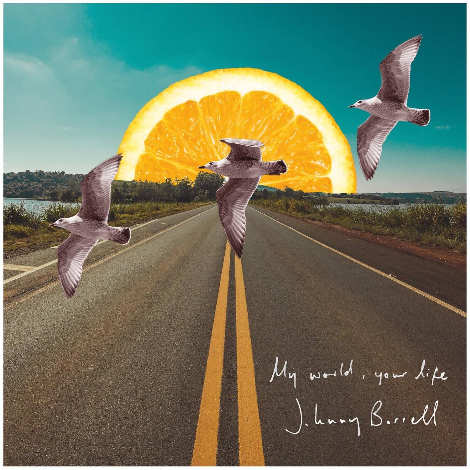 Johnny Borrell My World Your Life 7 INCH SINGLE [7 inch Vinyl Disc ...
