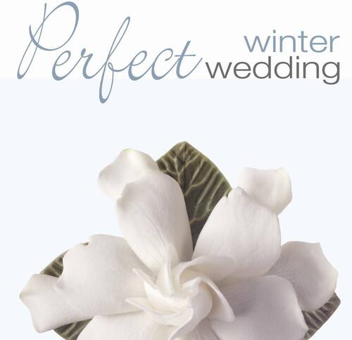 Various Artists Perfect Wedding: Winter / Various COMPACT DISCS [CD ...