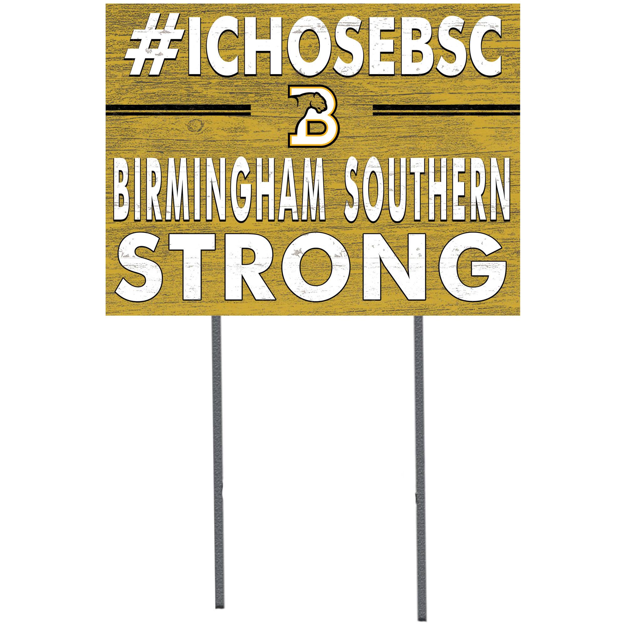 Jardine Birmingham Southern Panthers 18'' x 24'' I Chose Lawn Sign ...