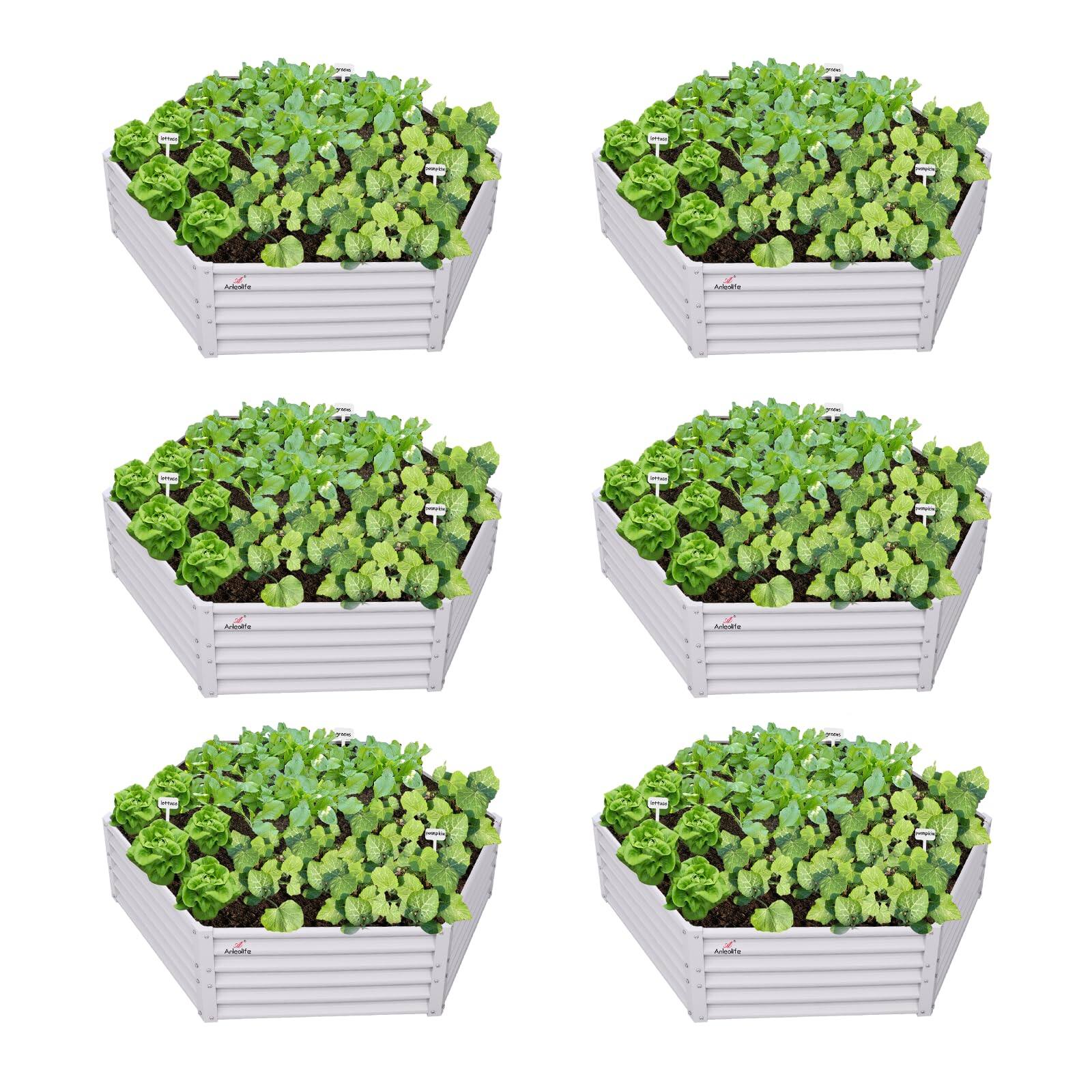 A Anleolife 6 Pack Metal Hexagon Raised Garden Bed Planter Box for ...