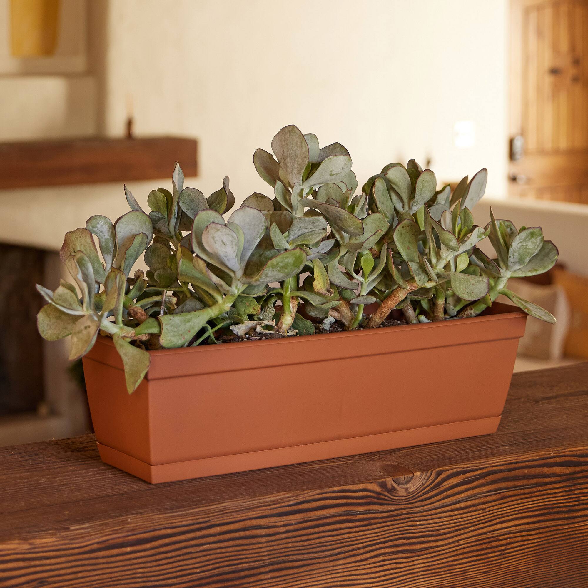 Bloem Terra Cotta 24" Durcott Window Box Planter G0811214020155 - Best Buy