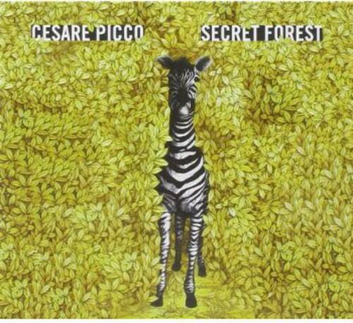 Picco Secret Forest COMPACT DISCS [CD] - Best Buy
