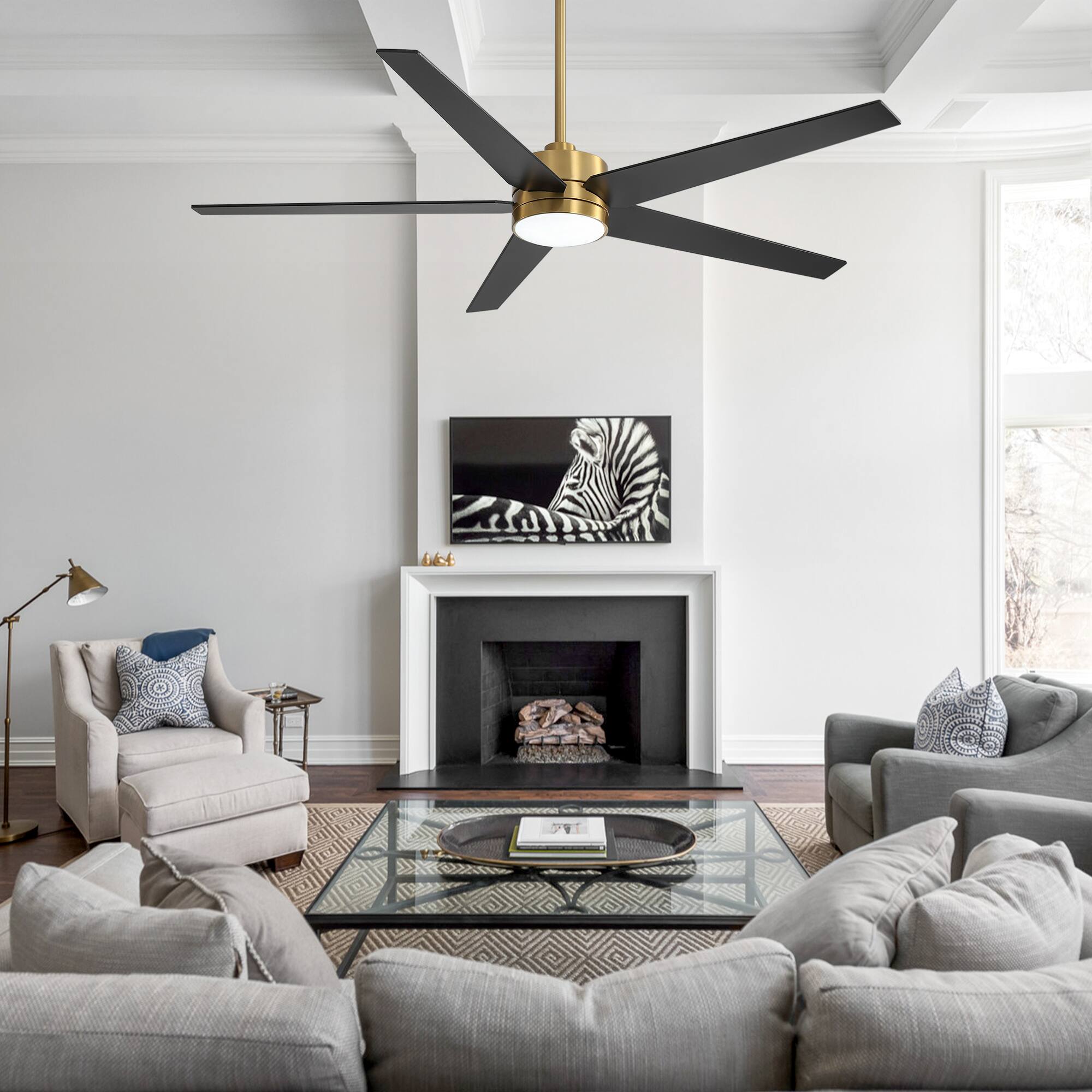 Breezary 65 Inch Ceiling Fan with 5 Plywood Blades, DC Motor, 6 Speed ...