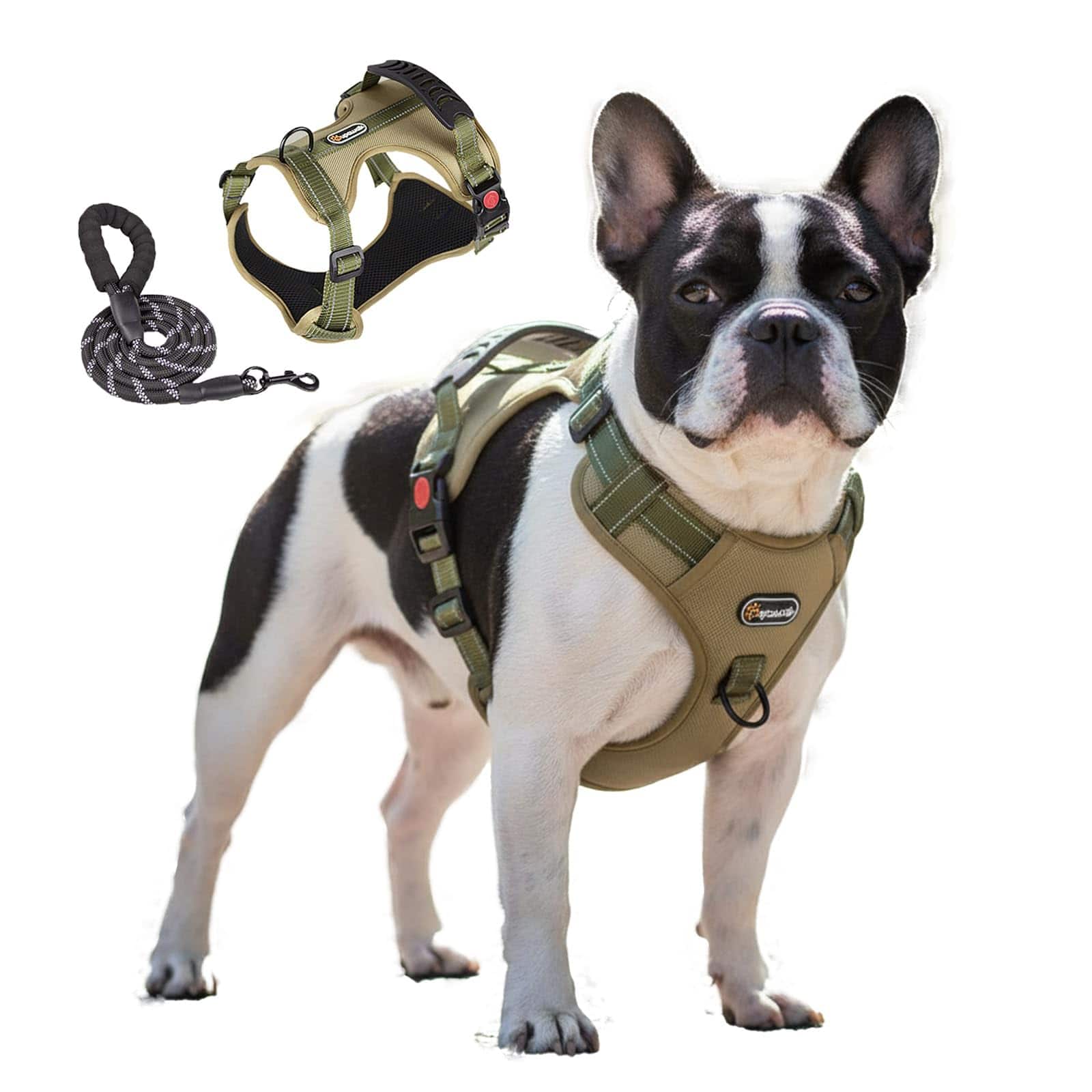 Paradigms Interiors - Dog Harness No Pull Pet Vest Collars With ...