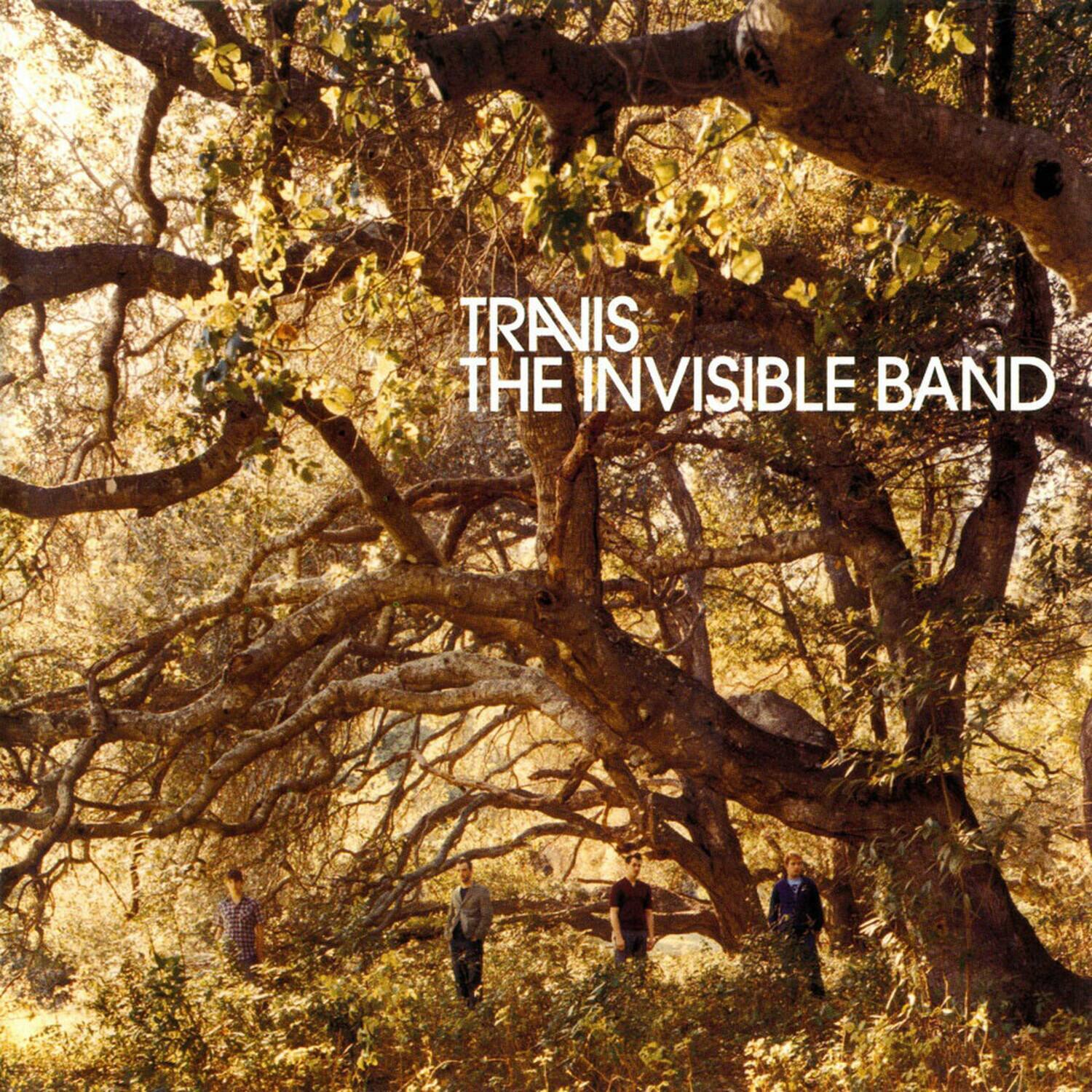 Travis The Invisible Band (20th Anniversary) VINYL LP - Best Buy