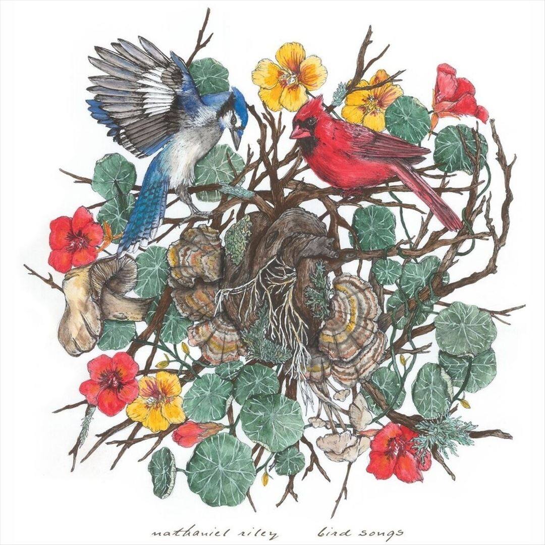 Bird Songs [LP] VINYL - Best Buy