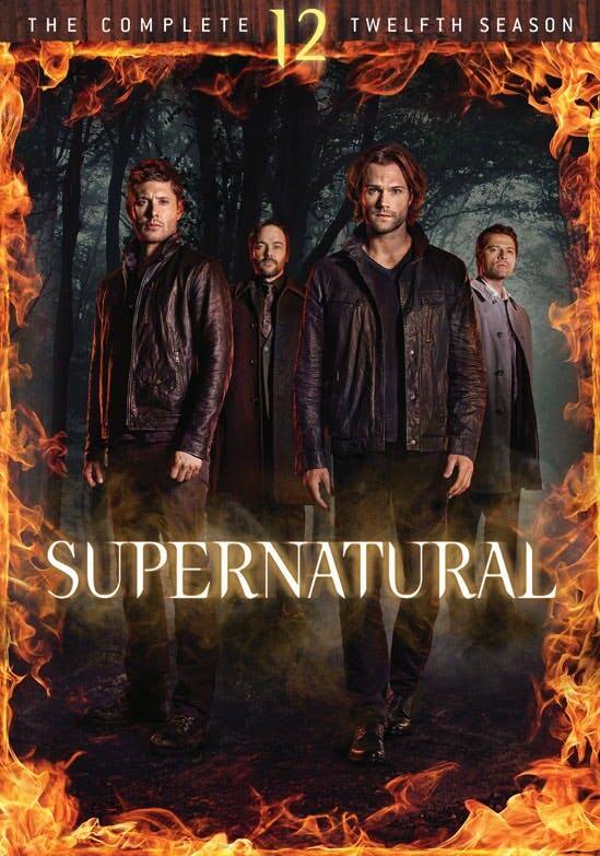 Supernatural: The Complete Twelfth Season (Box Set) [DVD] [Standard ...