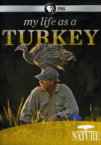 Nature: My Life as a Turkey DVD - Best Buy