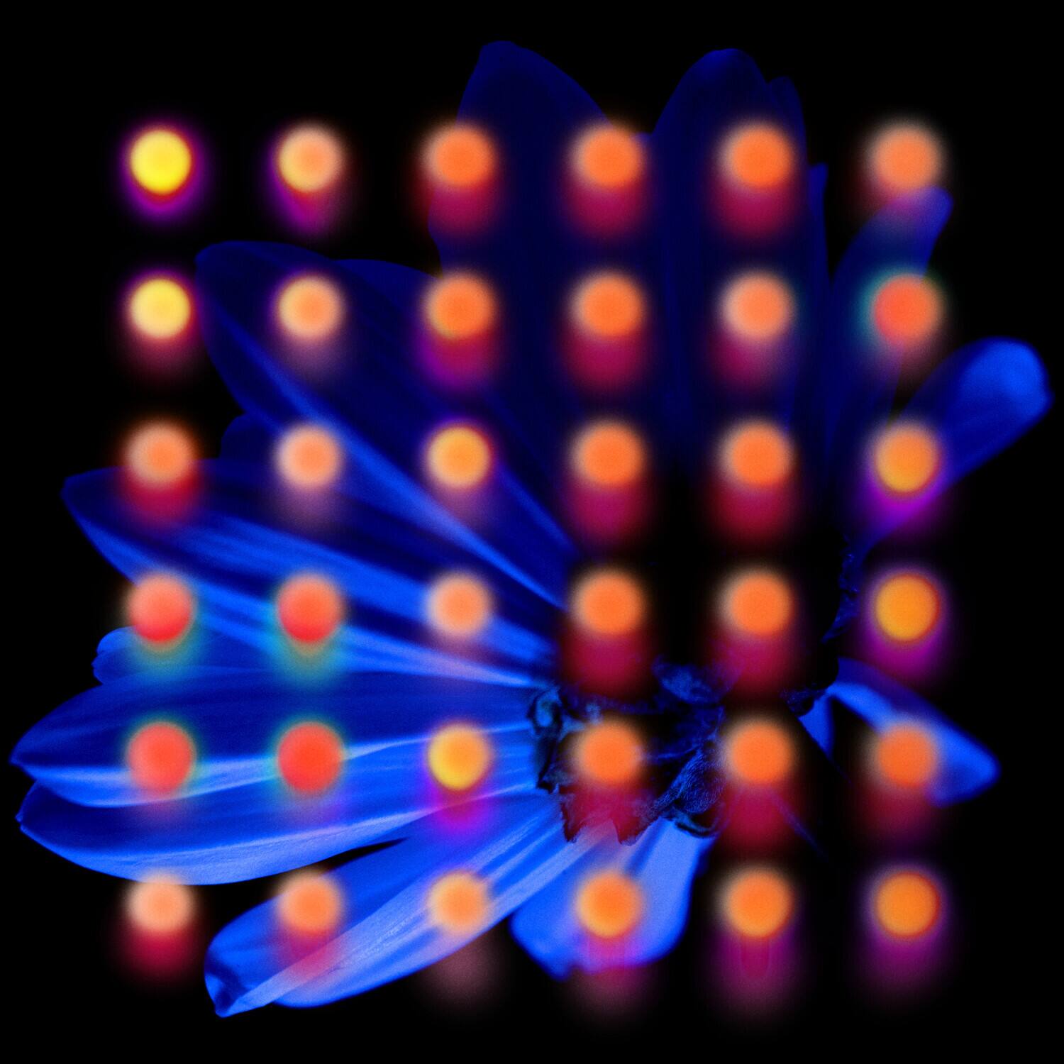 Anberlin Nevertake VINYL LP - Best Buy