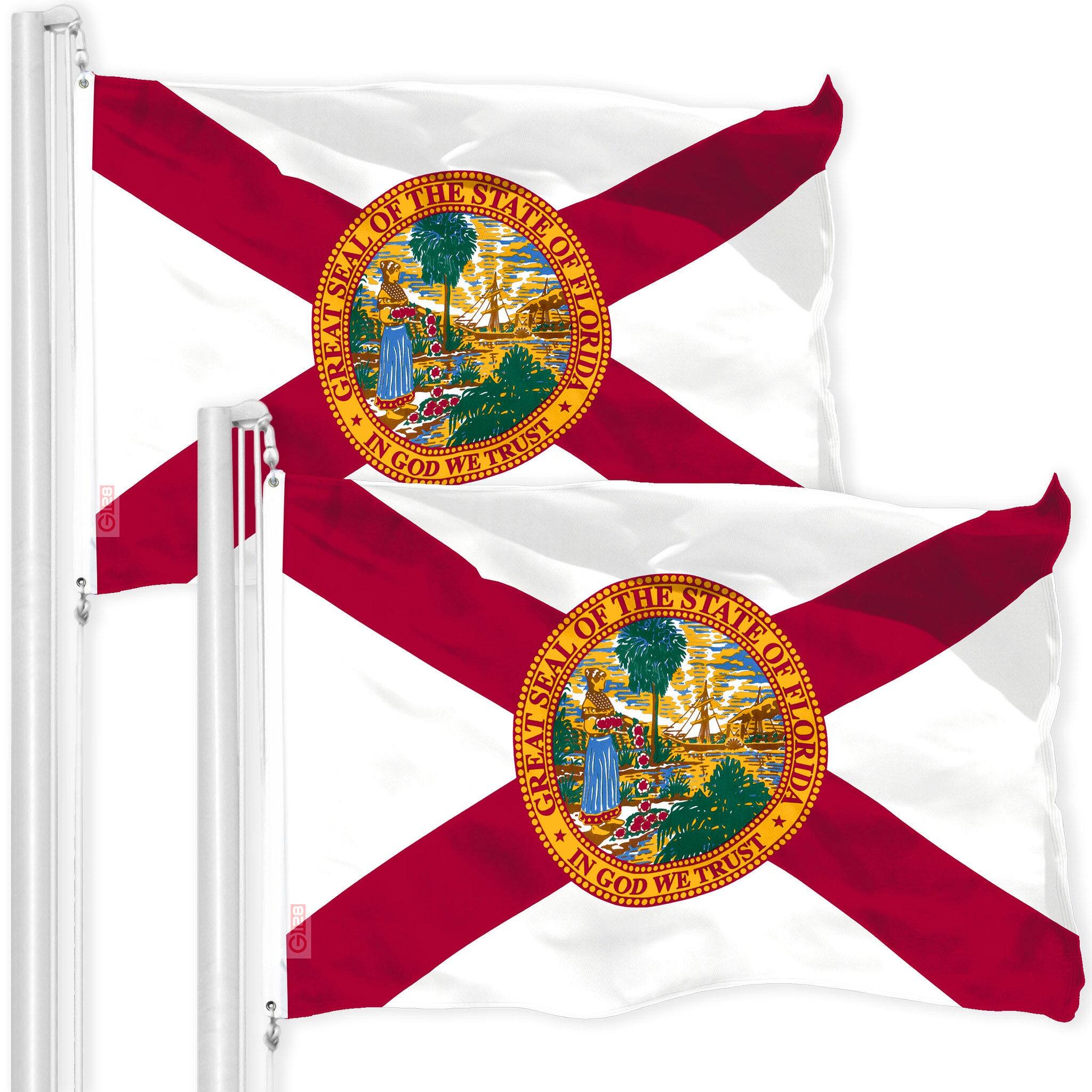 G128 Florida State Flag 3x5 ft 2 Pack Printed Polyester Assorted Colors ...