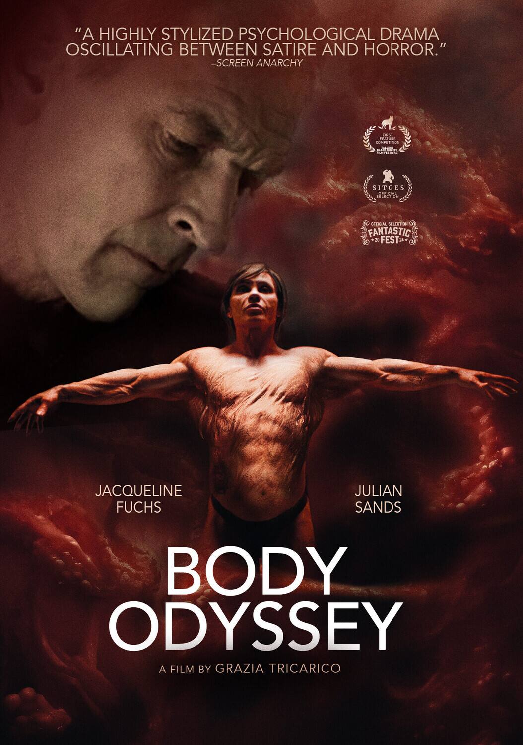Body Odyssey DVD - Best Buy