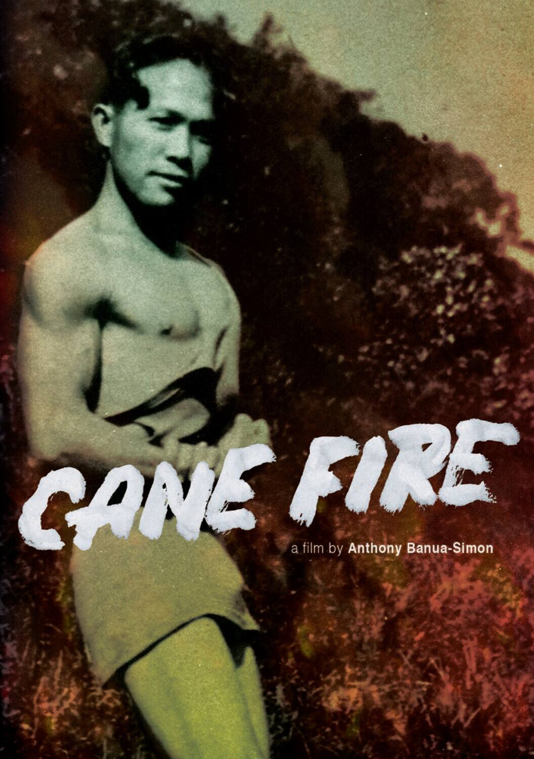 Cane Fire DVD - Best Buy
