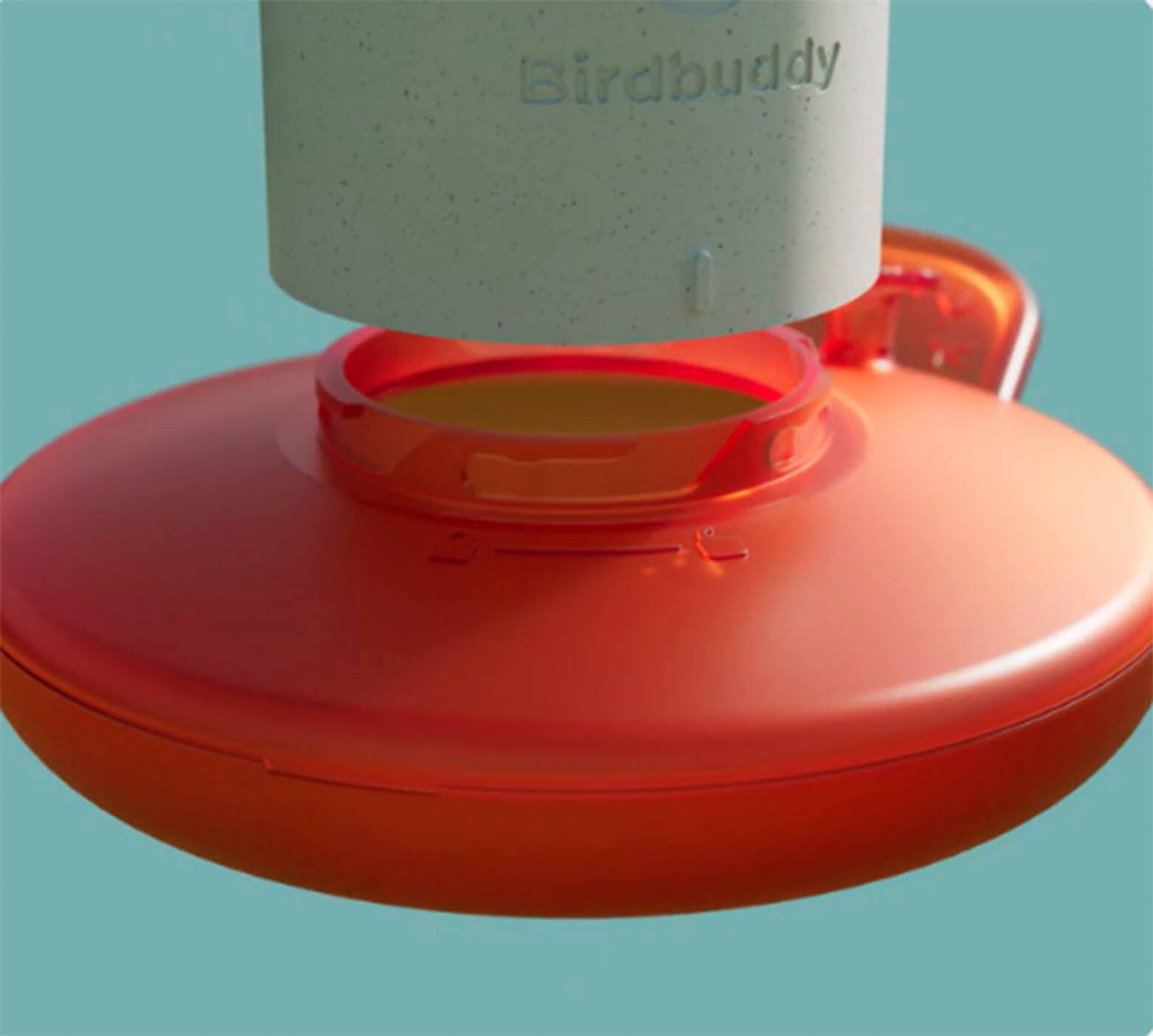 Bird Buddy Smart Hummingbird Feeder with Solar Roof White BWH1025BAA ...