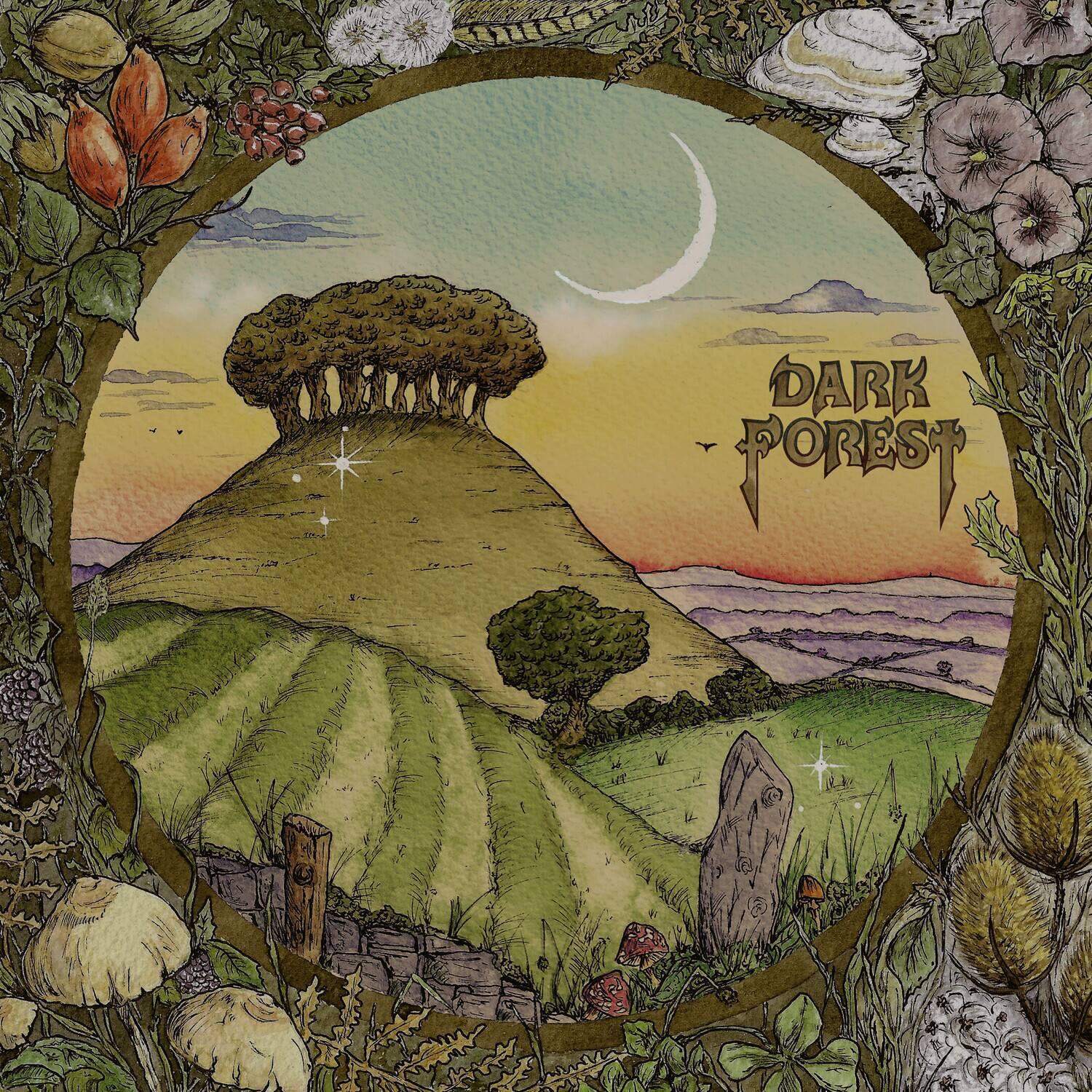 Dark Forest Ridge & Furrow COMPACT DISCS [CD] - Best Buy
