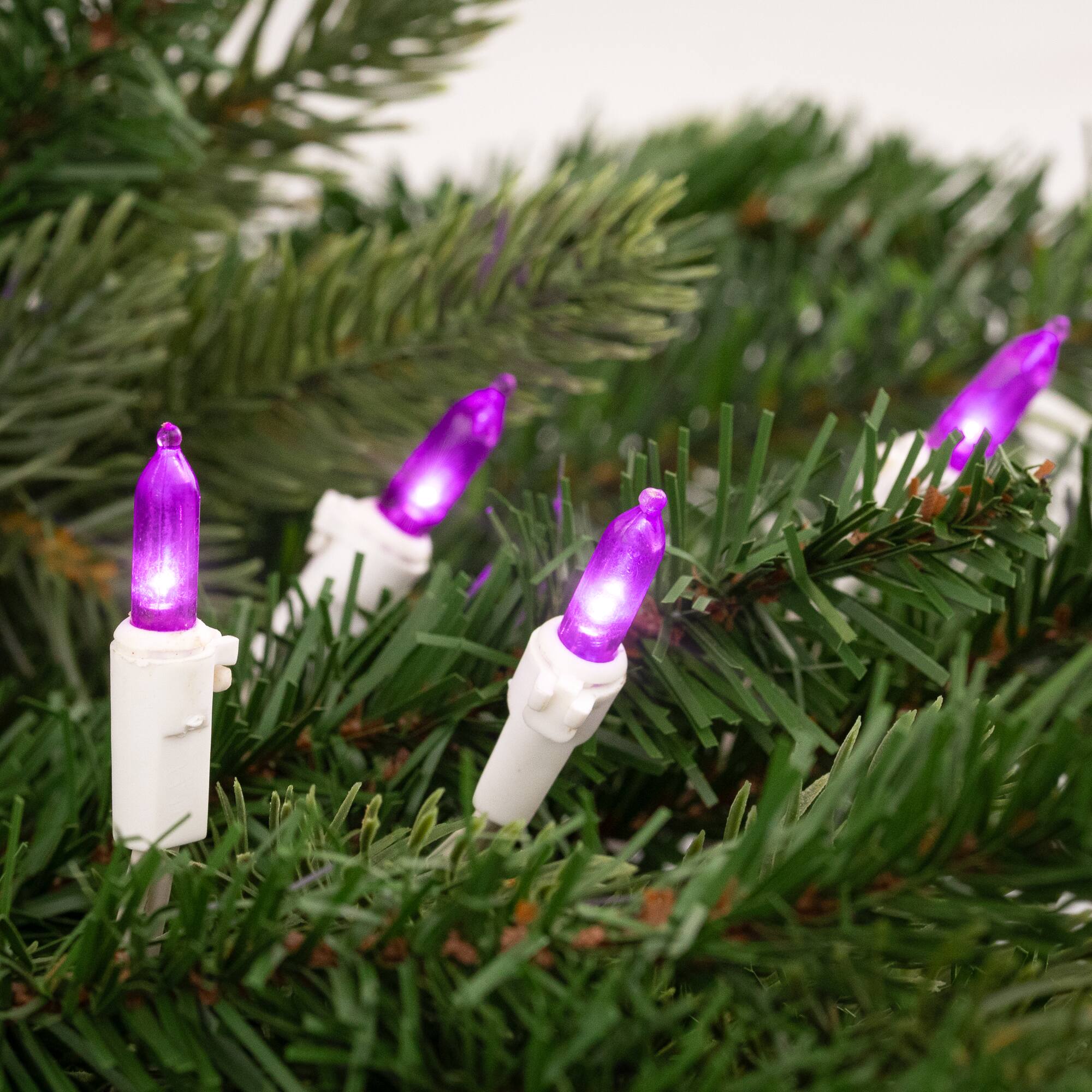 Northlight LED Mini Christmas Lights 16.25' White Wire 50ct Purple ...