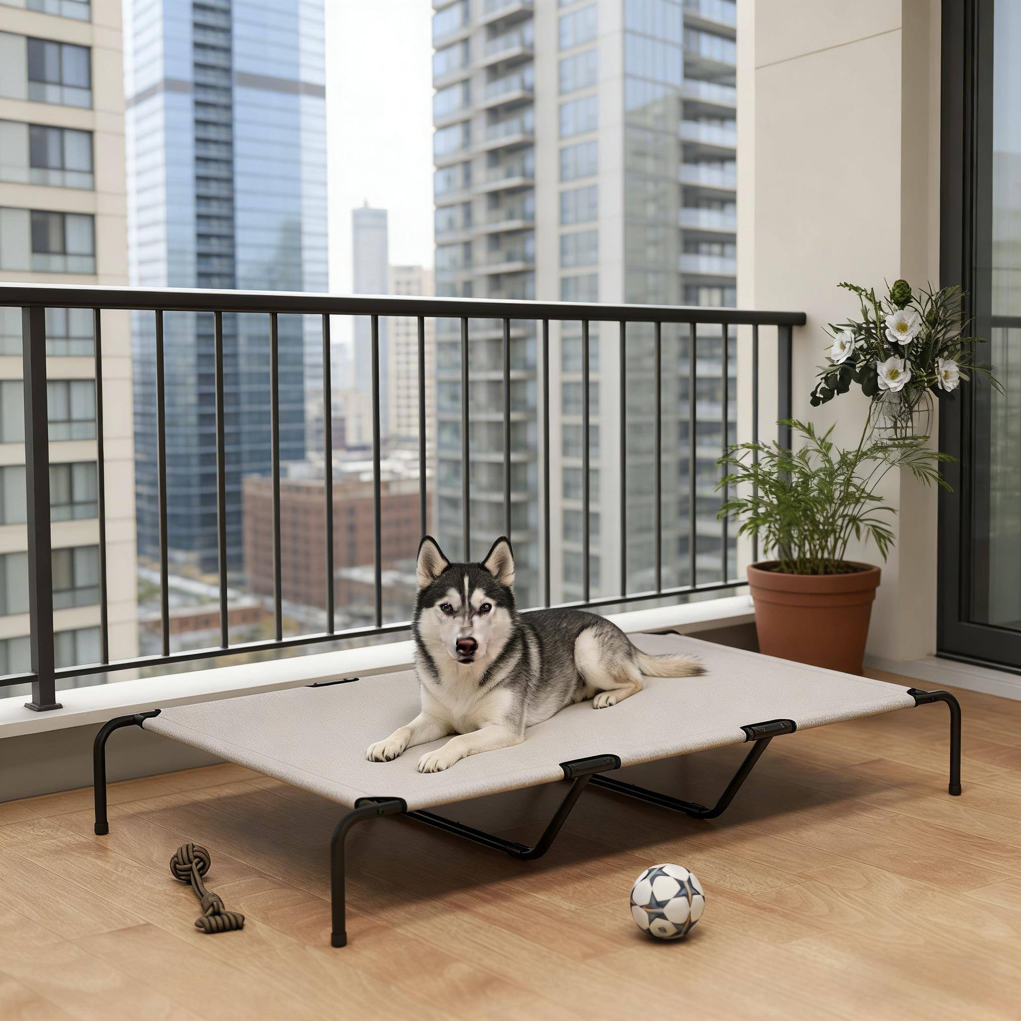 TinyHomie Large Pet Bed Elevated Dog Bed Beige,Black,White SF-J ...