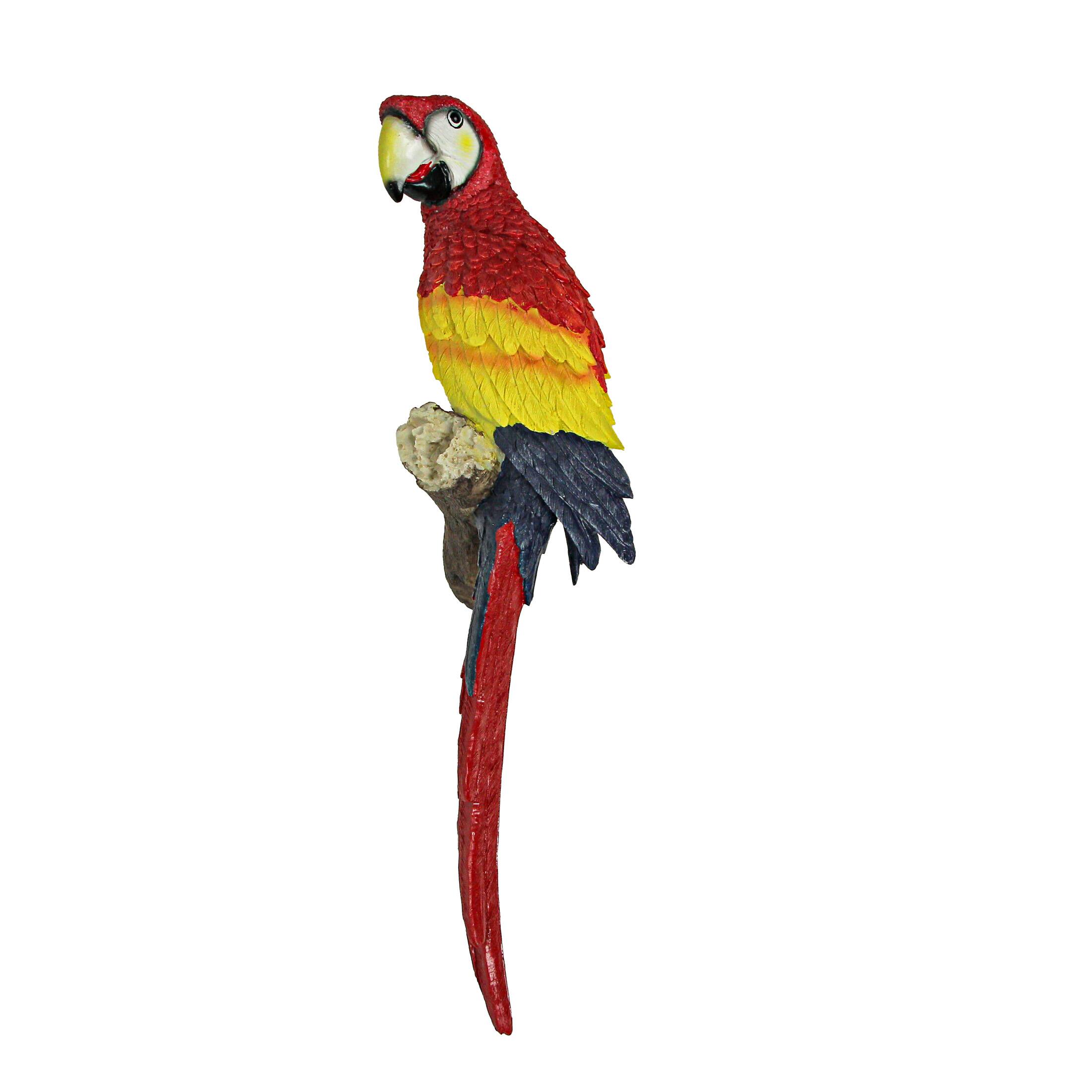 Zeckos Scarlet Macaw Parrot Resin Wall Sculpture, 18 Inch Multicolored ...