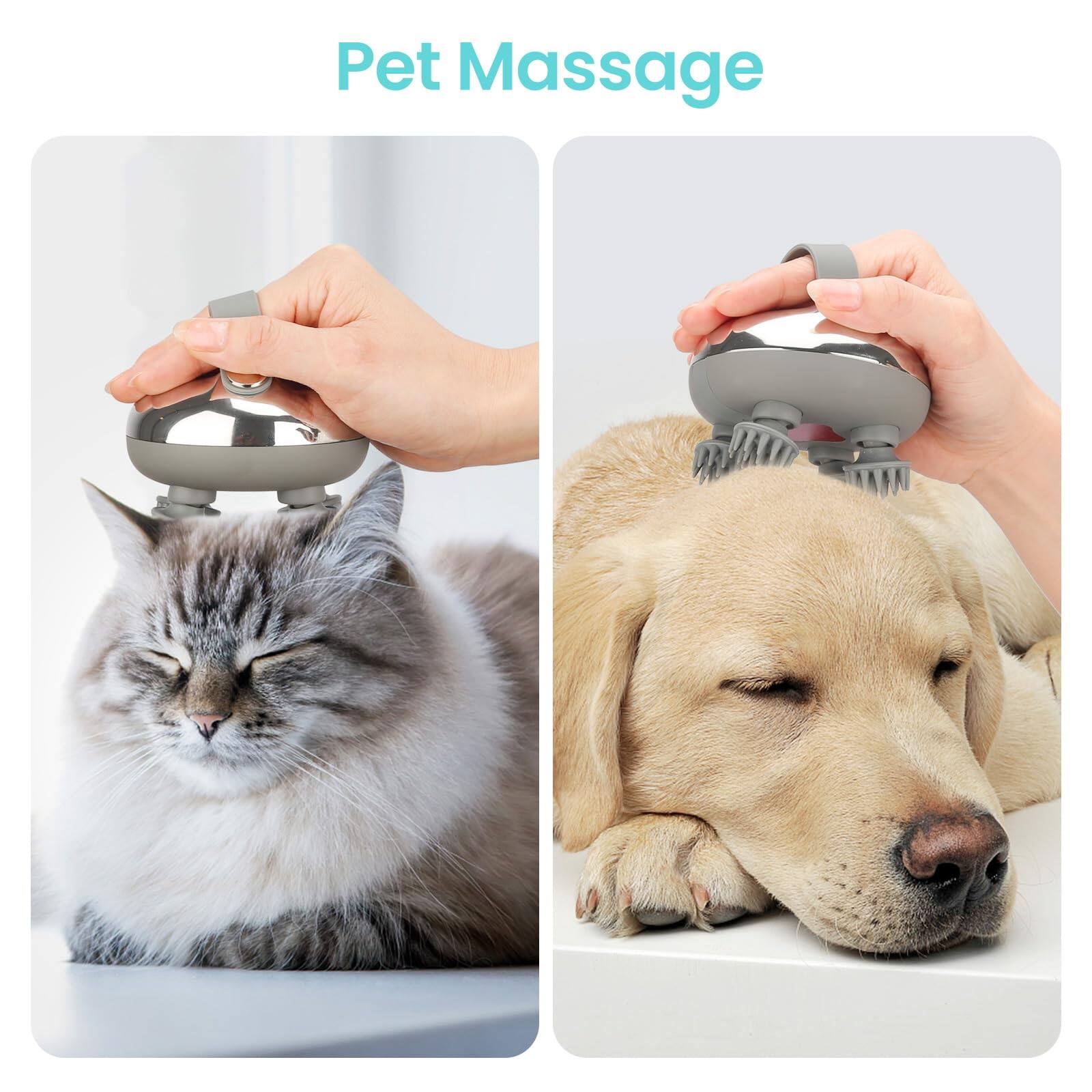 The Best Inks Portable Electric Scalp Rechargeable IPX7 Waterproof ...