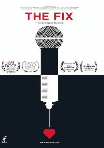 The Fix DVD - Best Buy