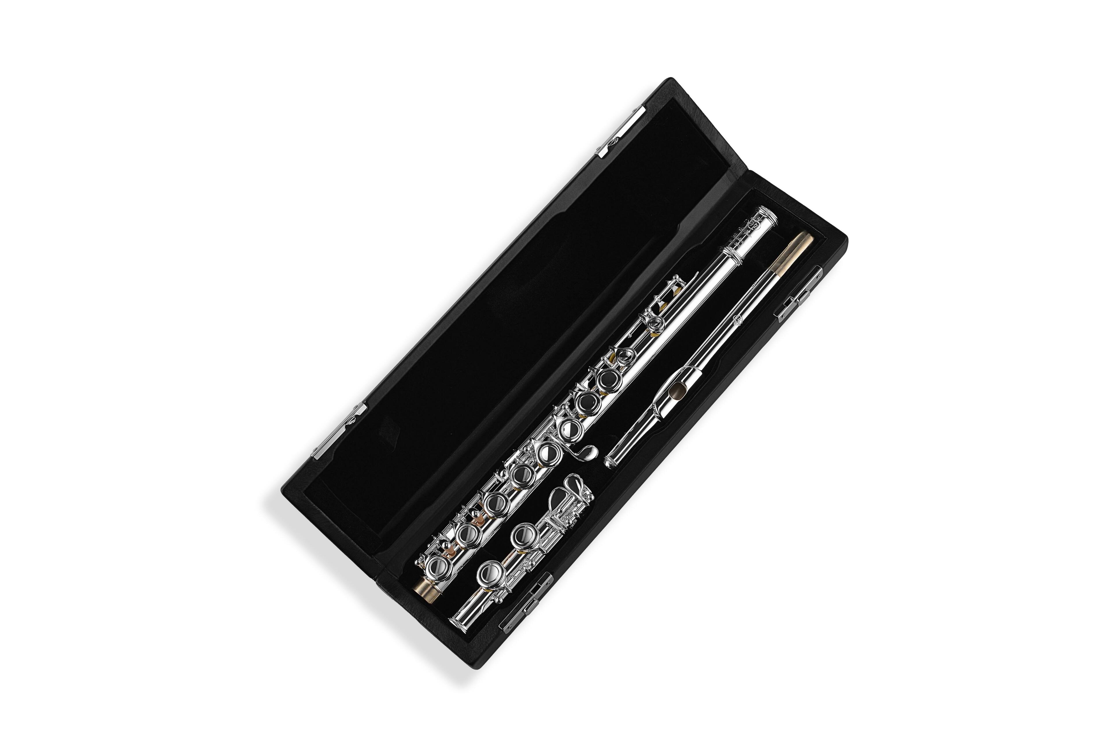 Di Zhao Flutes DZ 301 COA Student Flute | Closed Hole | Offset G | C ...