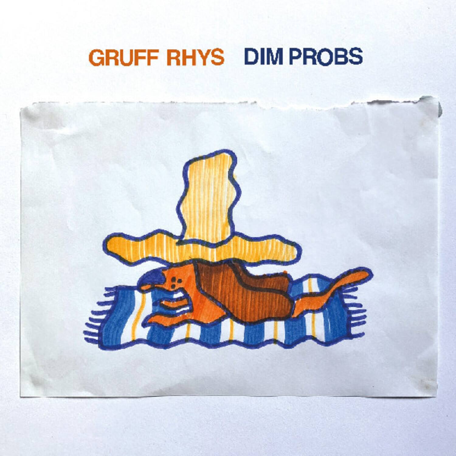 Gruff Rhys Dim Probs COMPACT DISCS [CD] - Best Buy