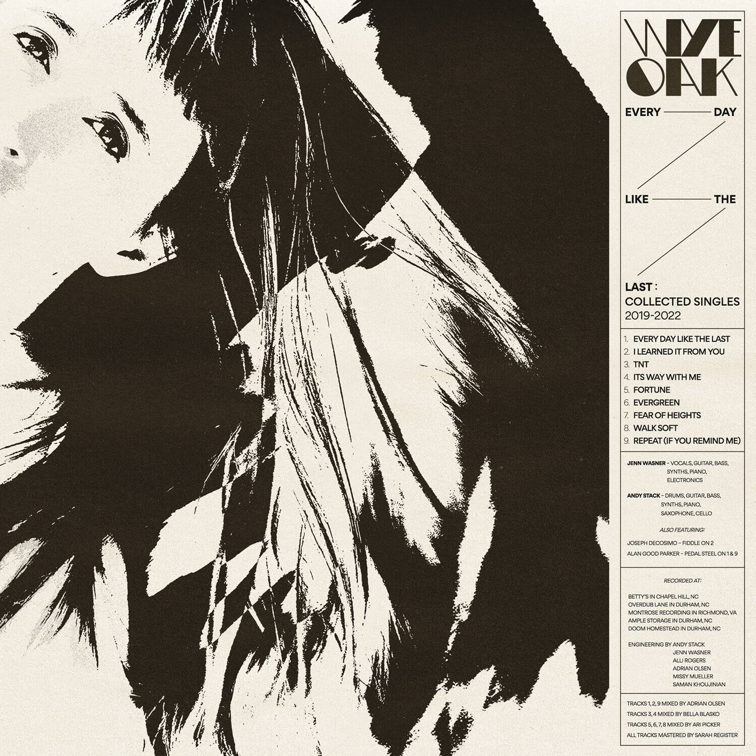 Wye Oak Every Day Like The Last: Collected Singles VINYL LP - Best Buy