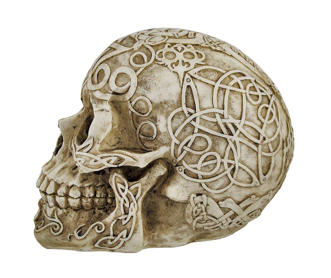 Zeckos Celtic Owl Knotwork Human Skull Statue Pagan Off white SL-18 ...
