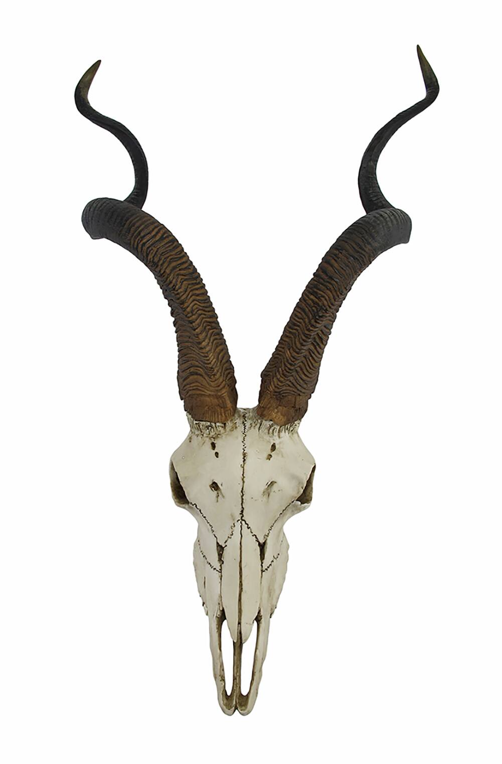Veronese Design African Kudu Antelope Skull Wall Hanging Cool Twisted ...