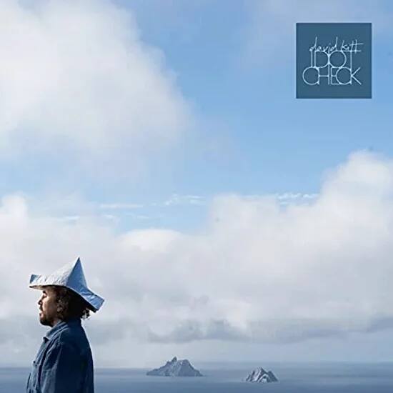 Idiot Check [LP] [VINYL] - Best Buy