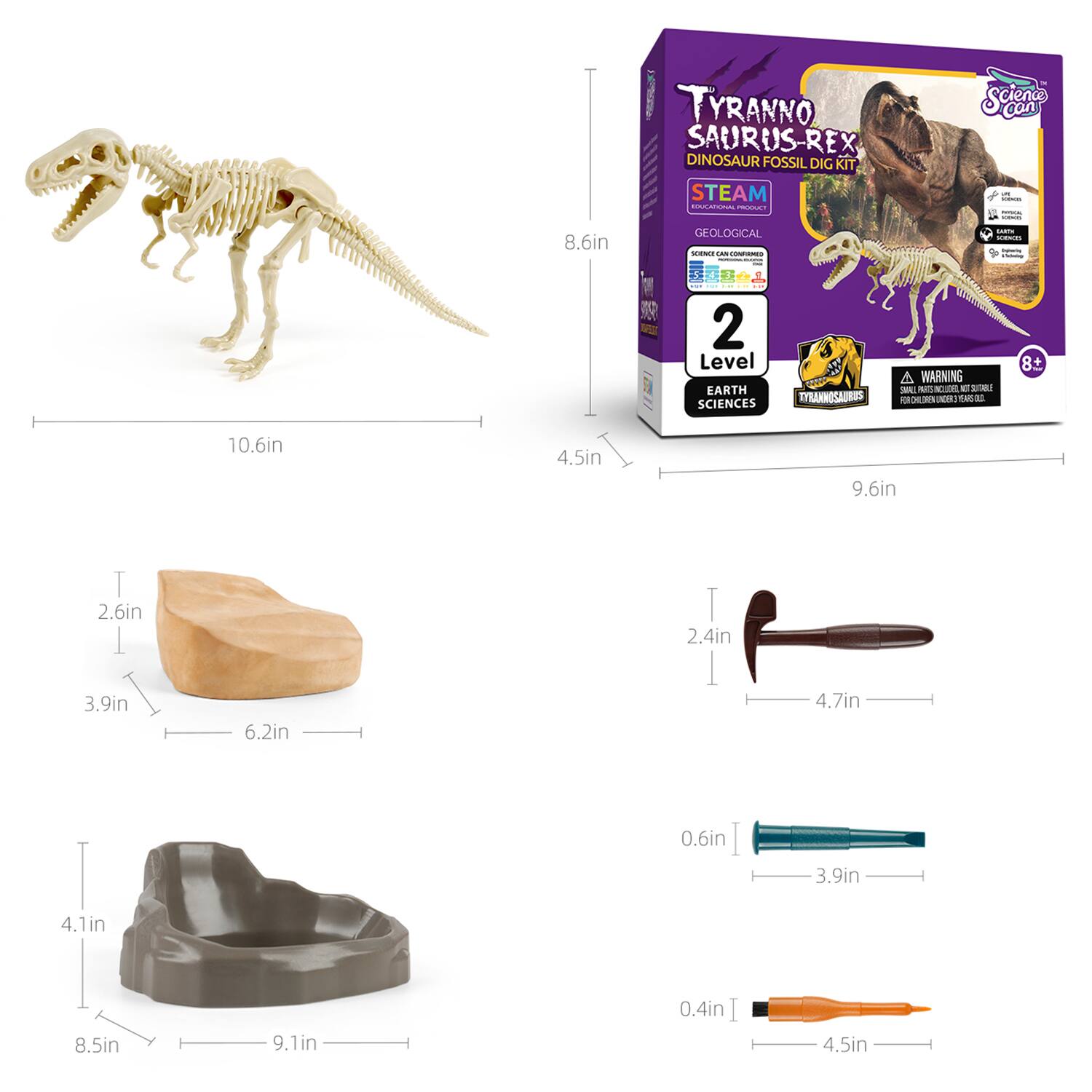 Best Buy: Hape Hape: Science Can: Tyrannosaurus Rex Dinosaur Fossil Dig ...