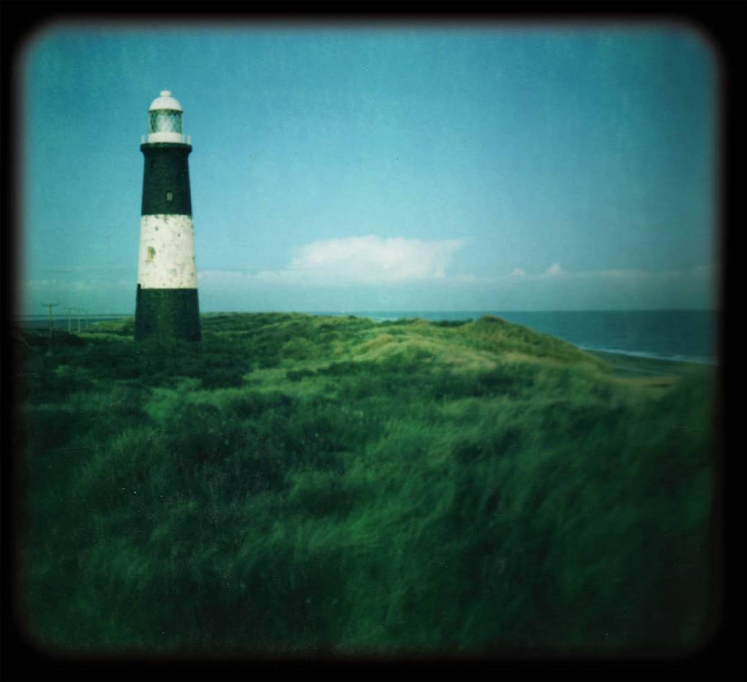 Blue Roses [CD] - Best Buy