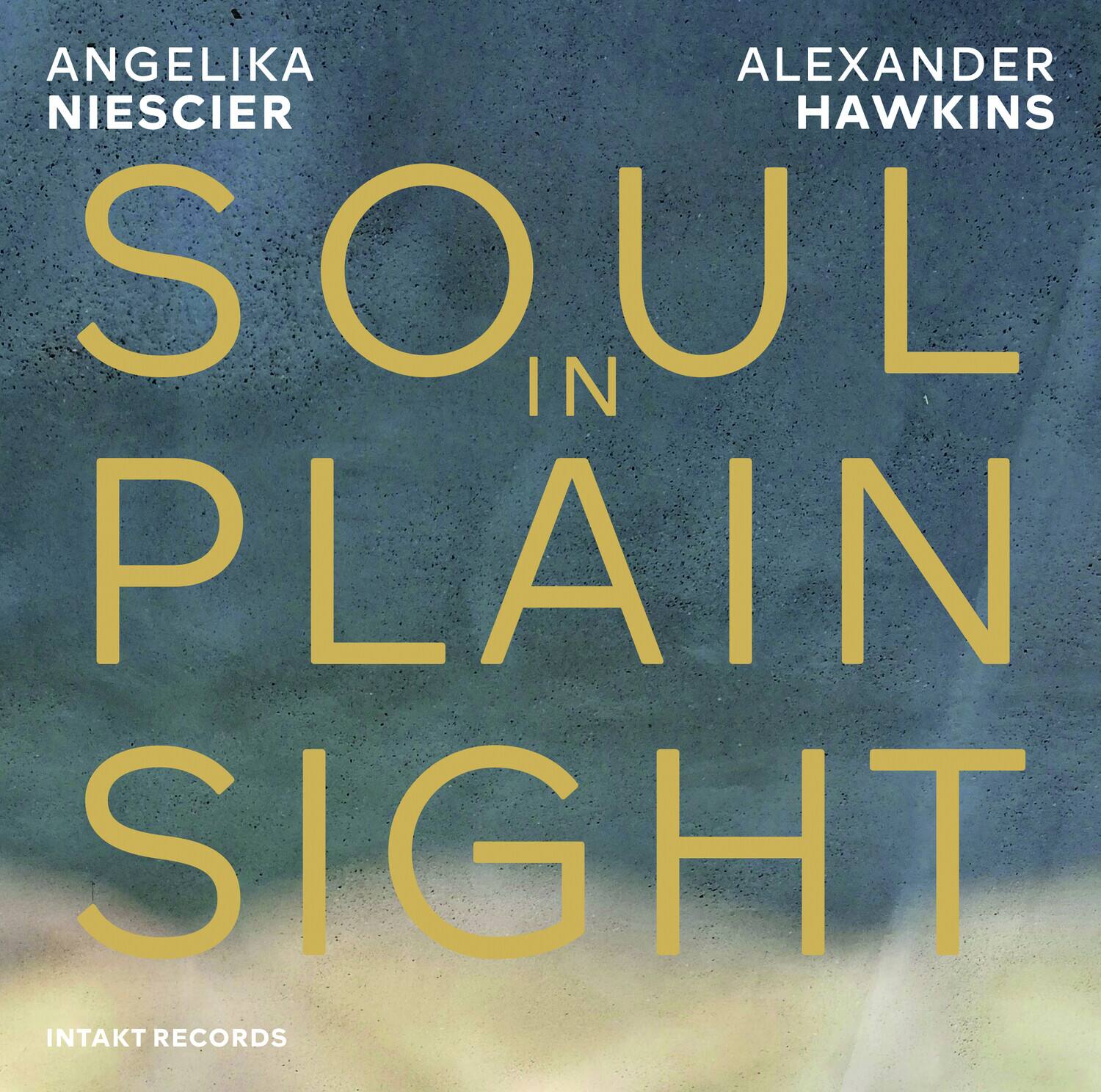 Angelika Niesicer Soul In Plain Sight COMPACT DISCS [CD] - Best Buy