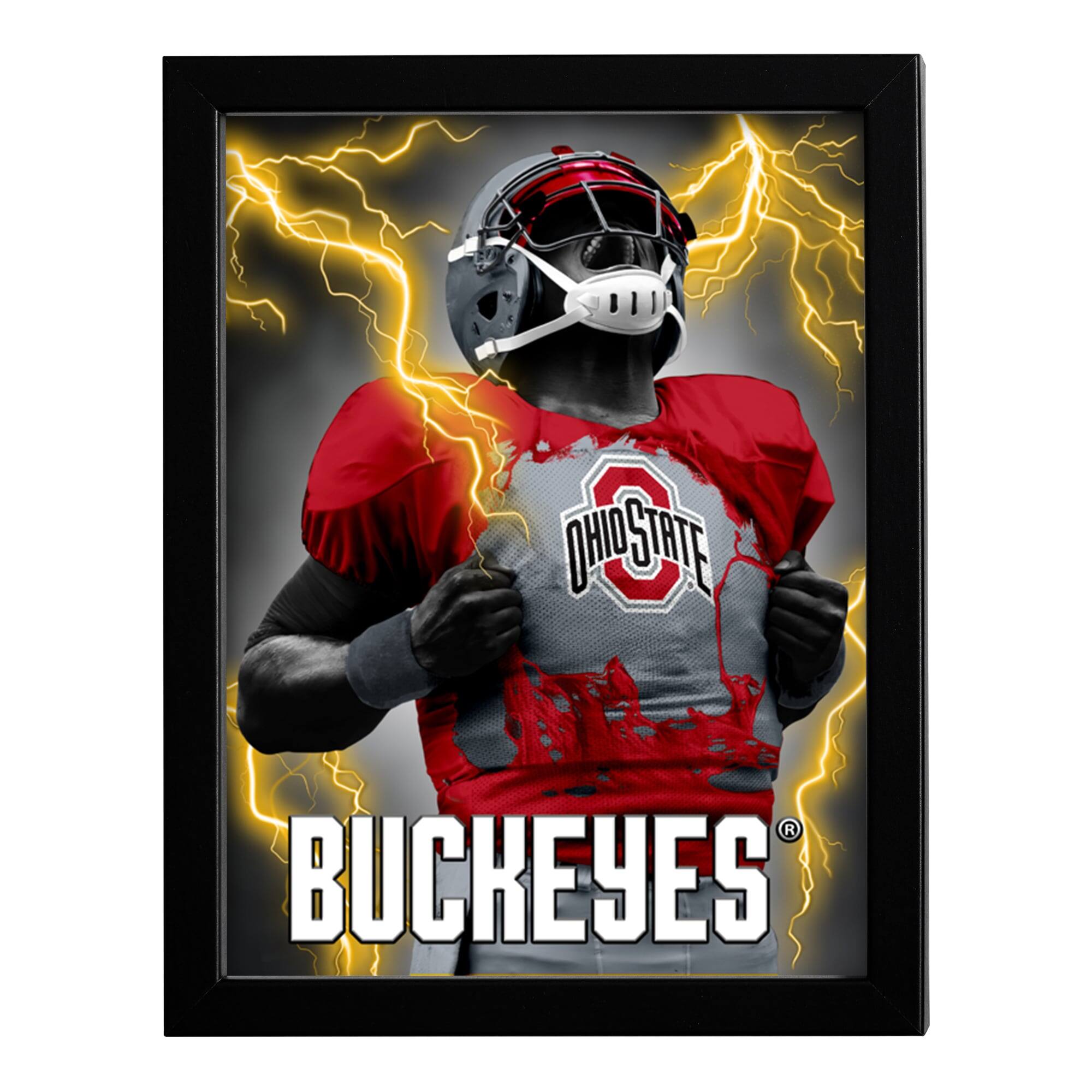 Sporticulture Ohio State Buckeyes 14" x 18" Framed 3D Lenticular Art ...