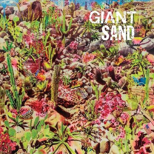 Giant Sand Returns To Valley Of Rain VINYL LP - Best Buy