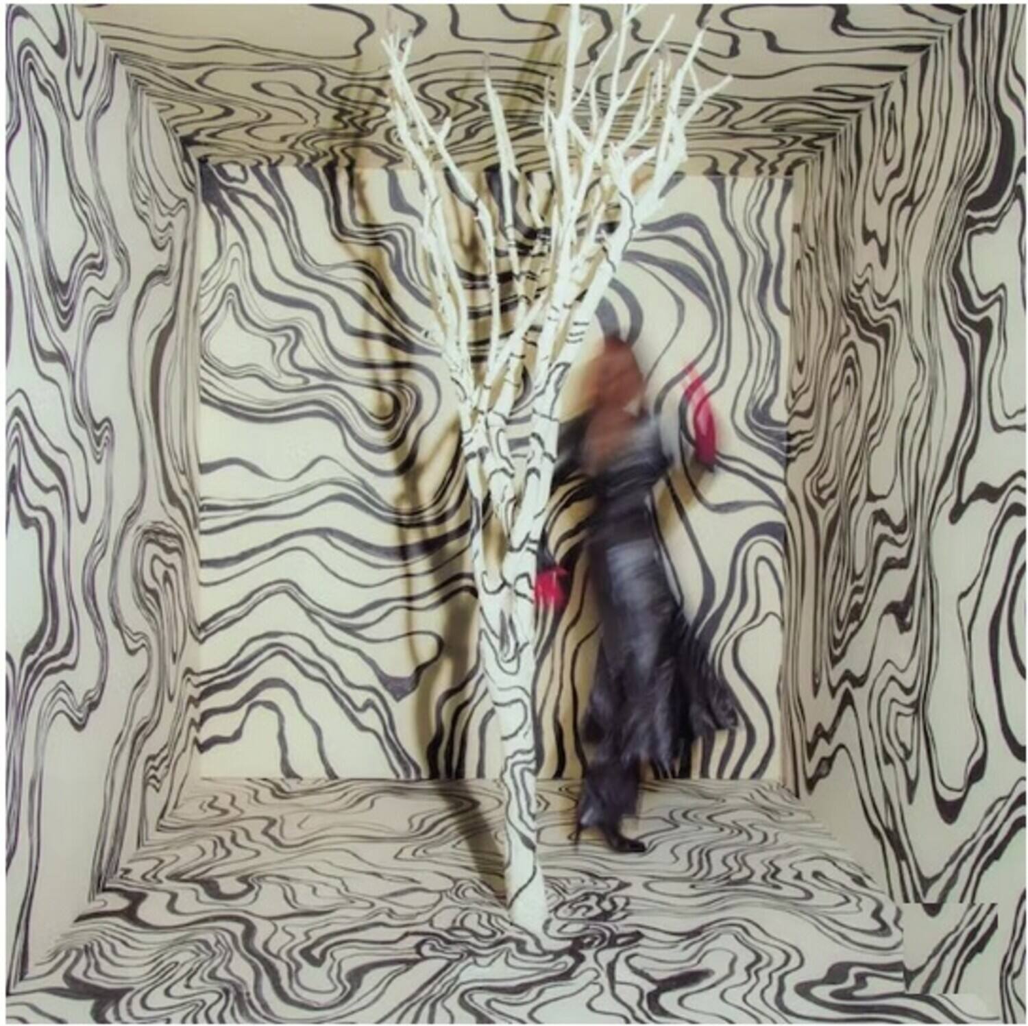 Madison Cunningham Revealer COMPACT DISCS [CD] - Best Buy