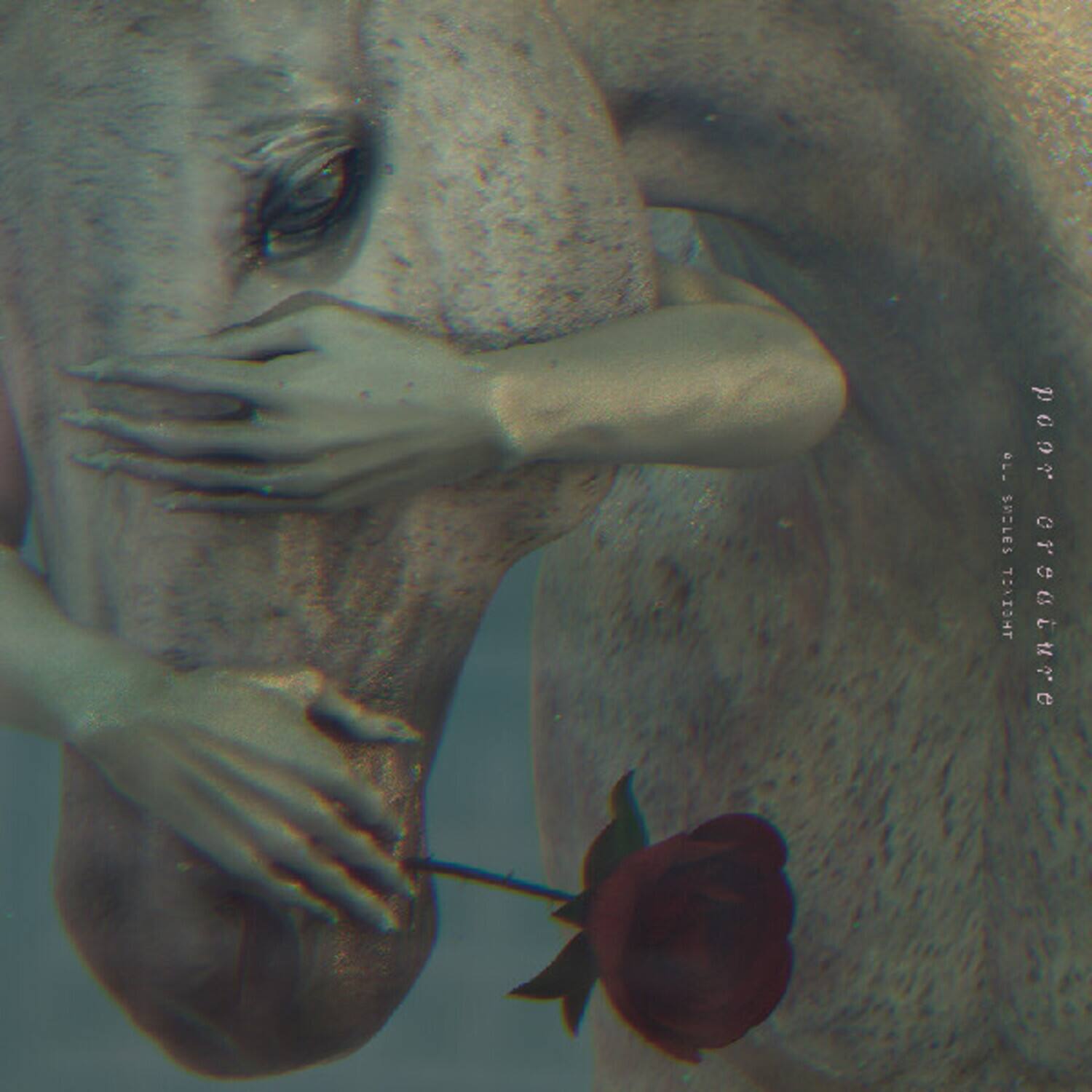 Poor Creature All Smiles Tonight COMPACT DISCS [CD] - Best Buy