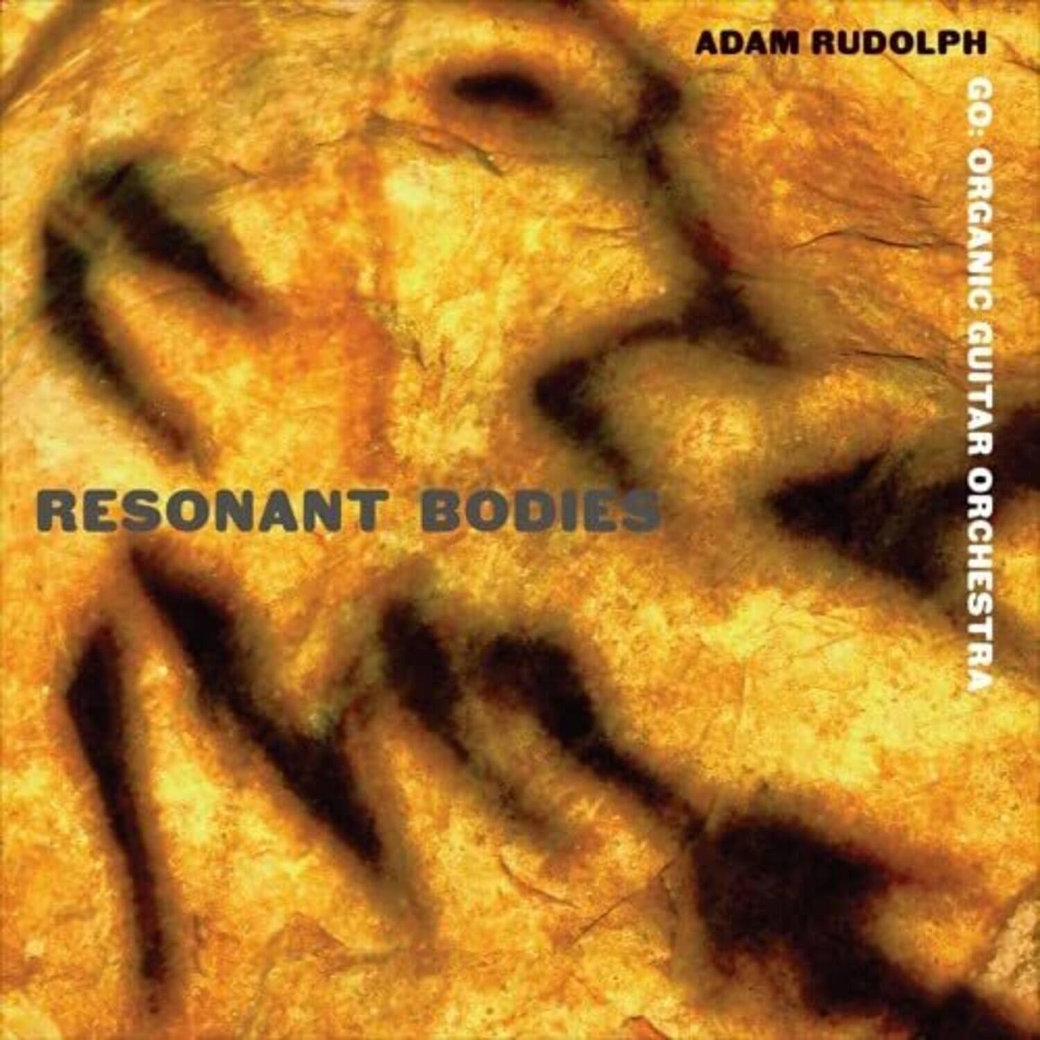 Adam Rudolph Resonant Bodies COMPACT DISCS [CD] - Best Buy