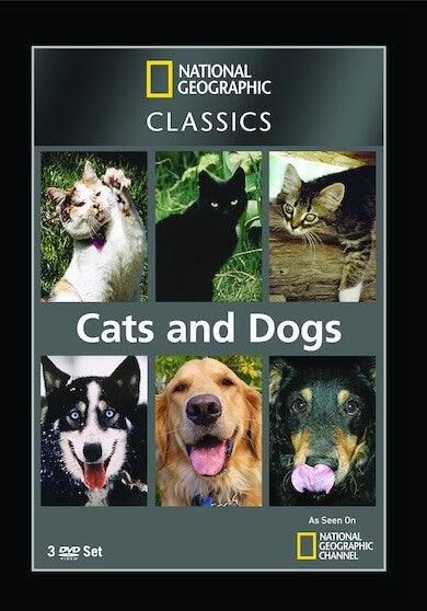 National Geographic Classics: Cats & Dogs DVD - Best Buy