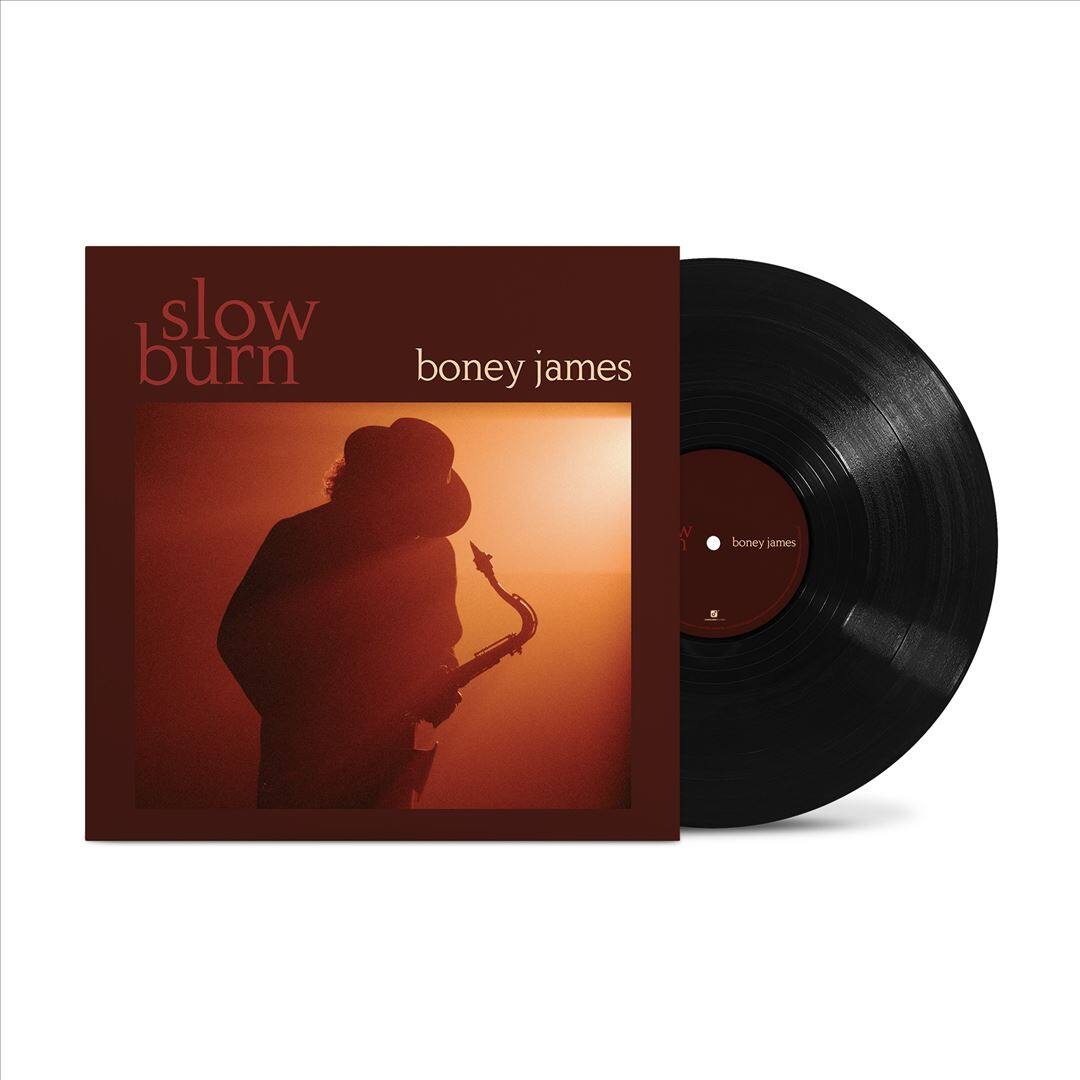 Slow Burn [LP] VINYL - Best Buy