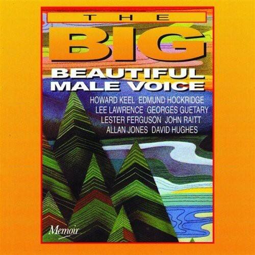Various Artists The Big Beautiful Male Voice COMPACT DISCS [CD] - Best Buy