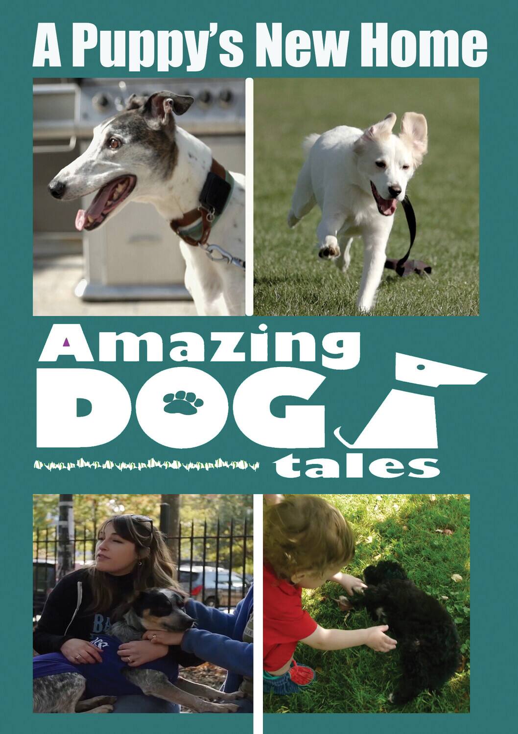 Amazing Dog Tales A Puppy's New Home DVD - Best Buy
