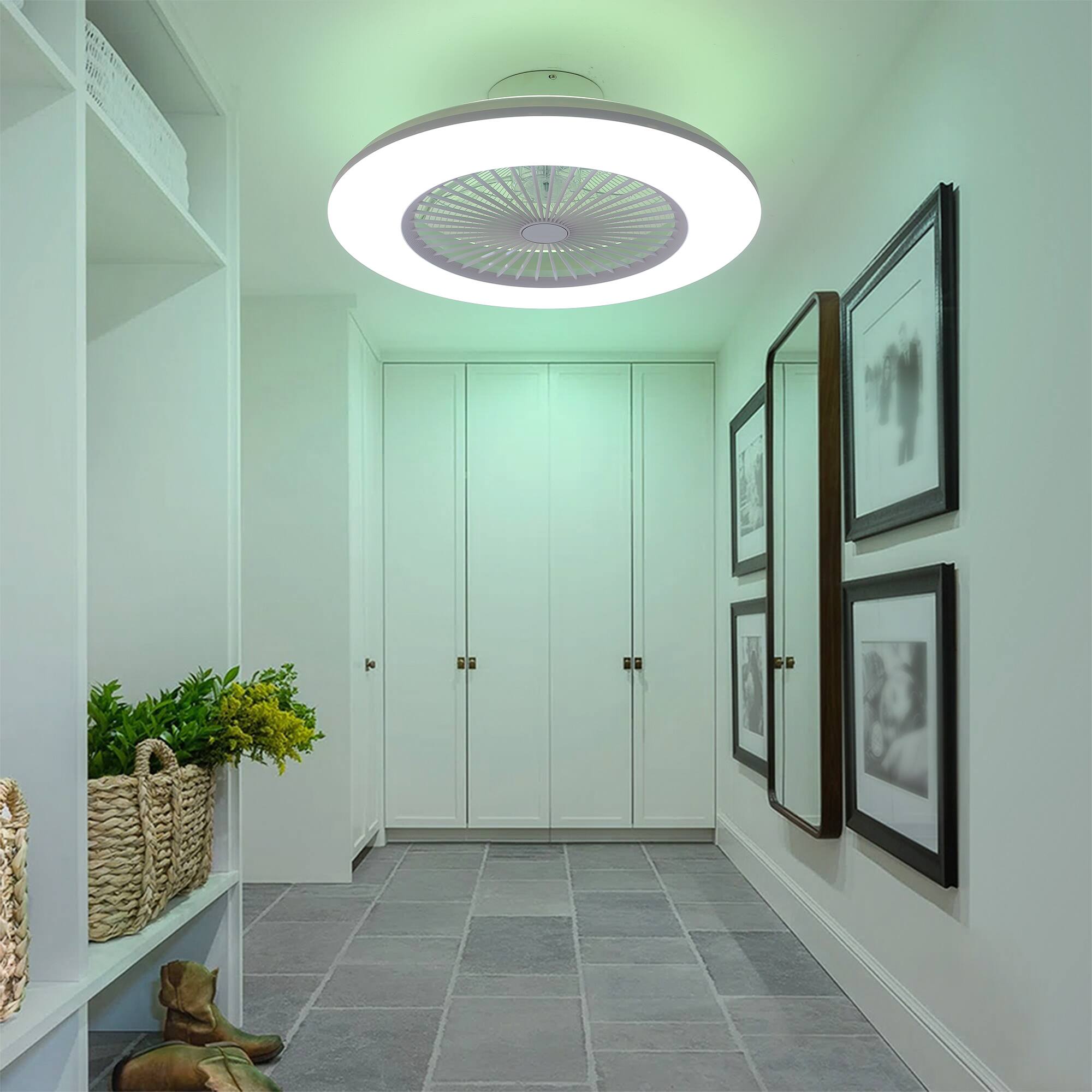 Breezary 22 Inch Flush Mount Ceiling Fan with LED RGB Light, 7 ...