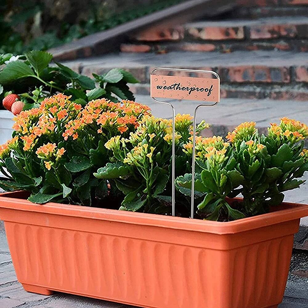 Auledio 15pcs Garden Flowerpot Plant Signs Plant Labels Garden Marker ...